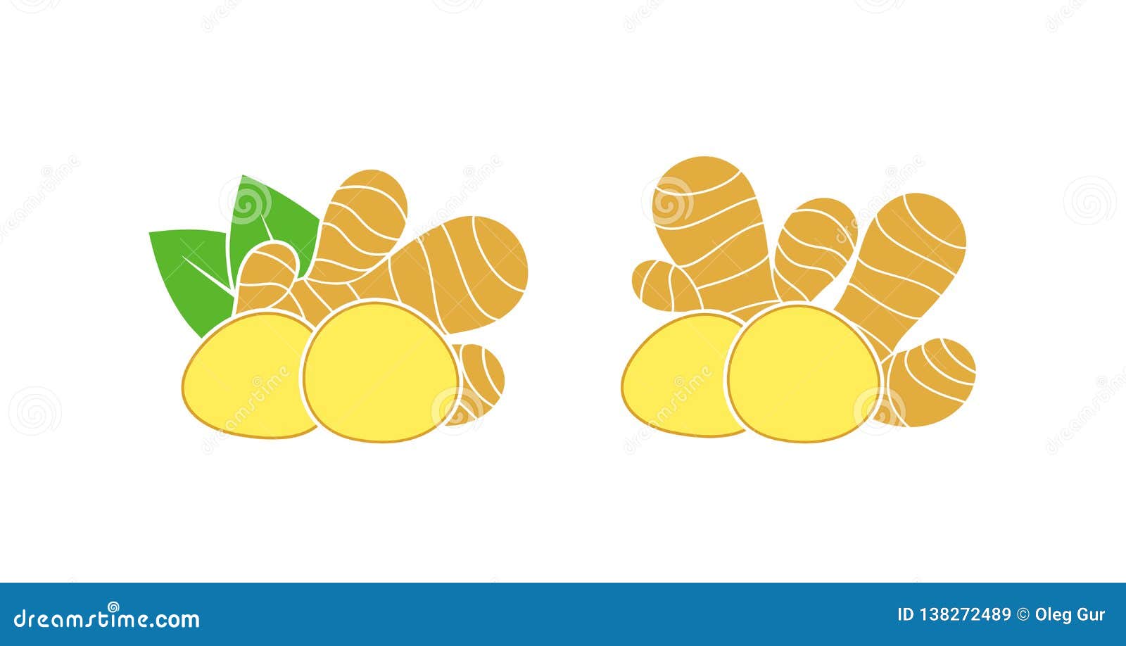 Ginger Logo. Isolated Ginger on White Background Stock Vector ...