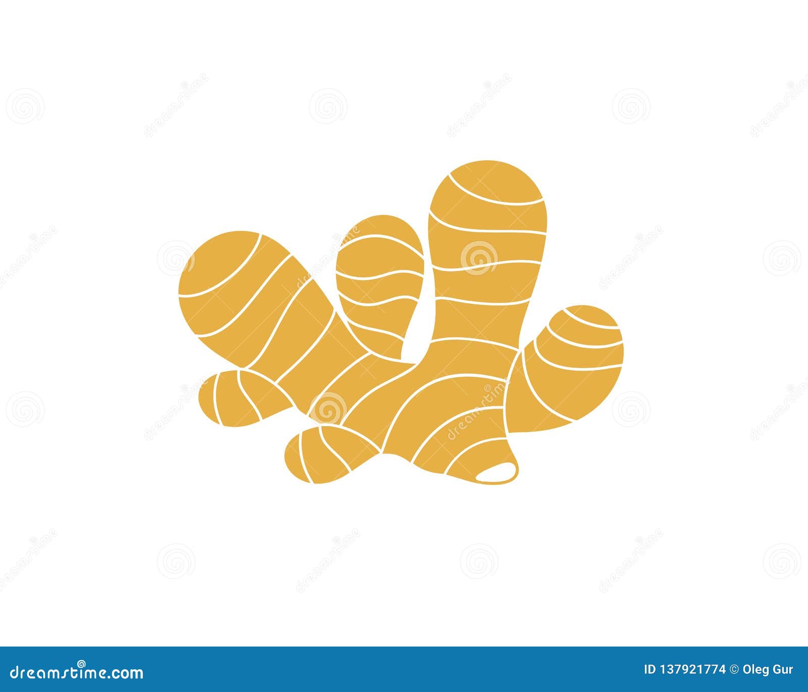 Ginger Logo. Isolated Ginger on White Background Stock Vector ...