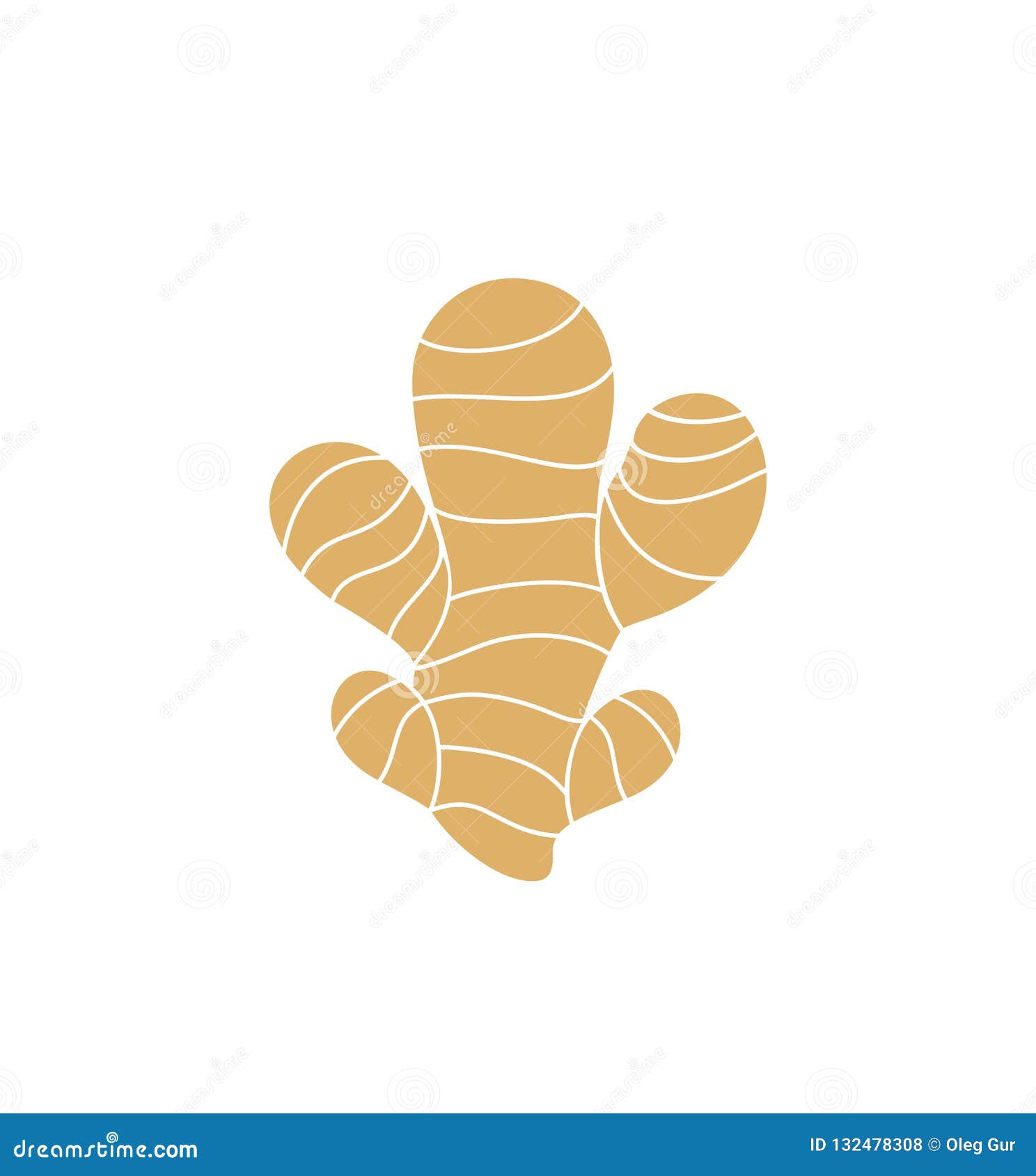 Ginger Logo. Isolated Ginger on White Background Stock Vector ...