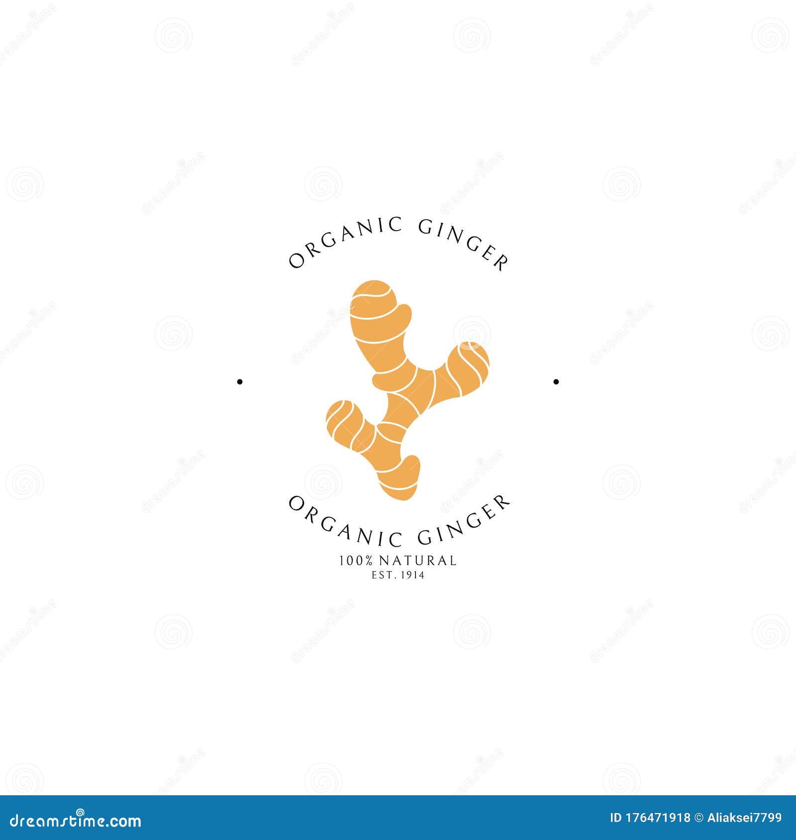 Ginger. Logo template stock vector. Illustration of organic - 176471918