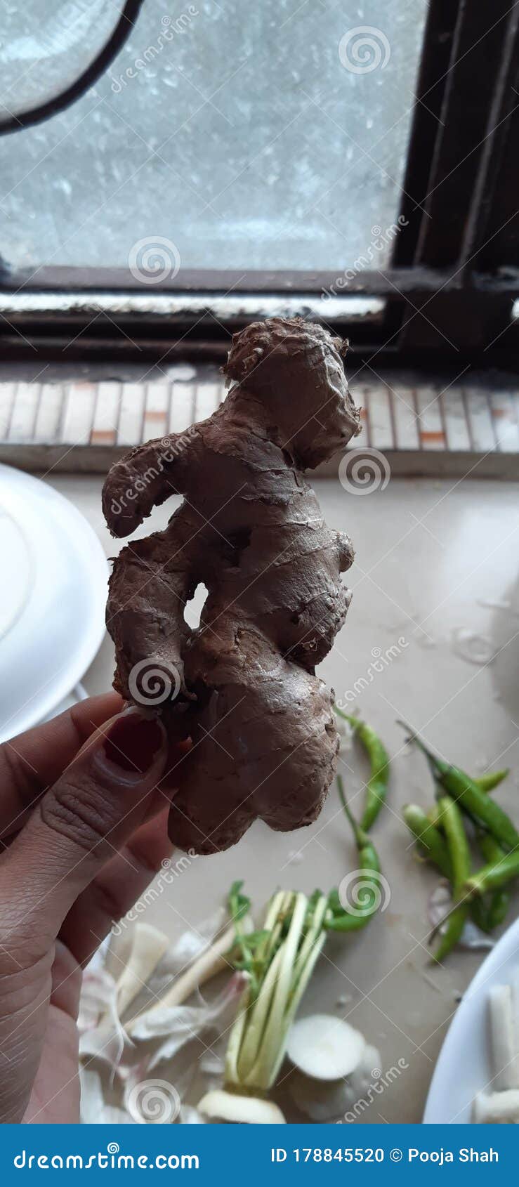 This Ginger Looks Somewhat Like a Human Being. Stock Photo - Image of ...