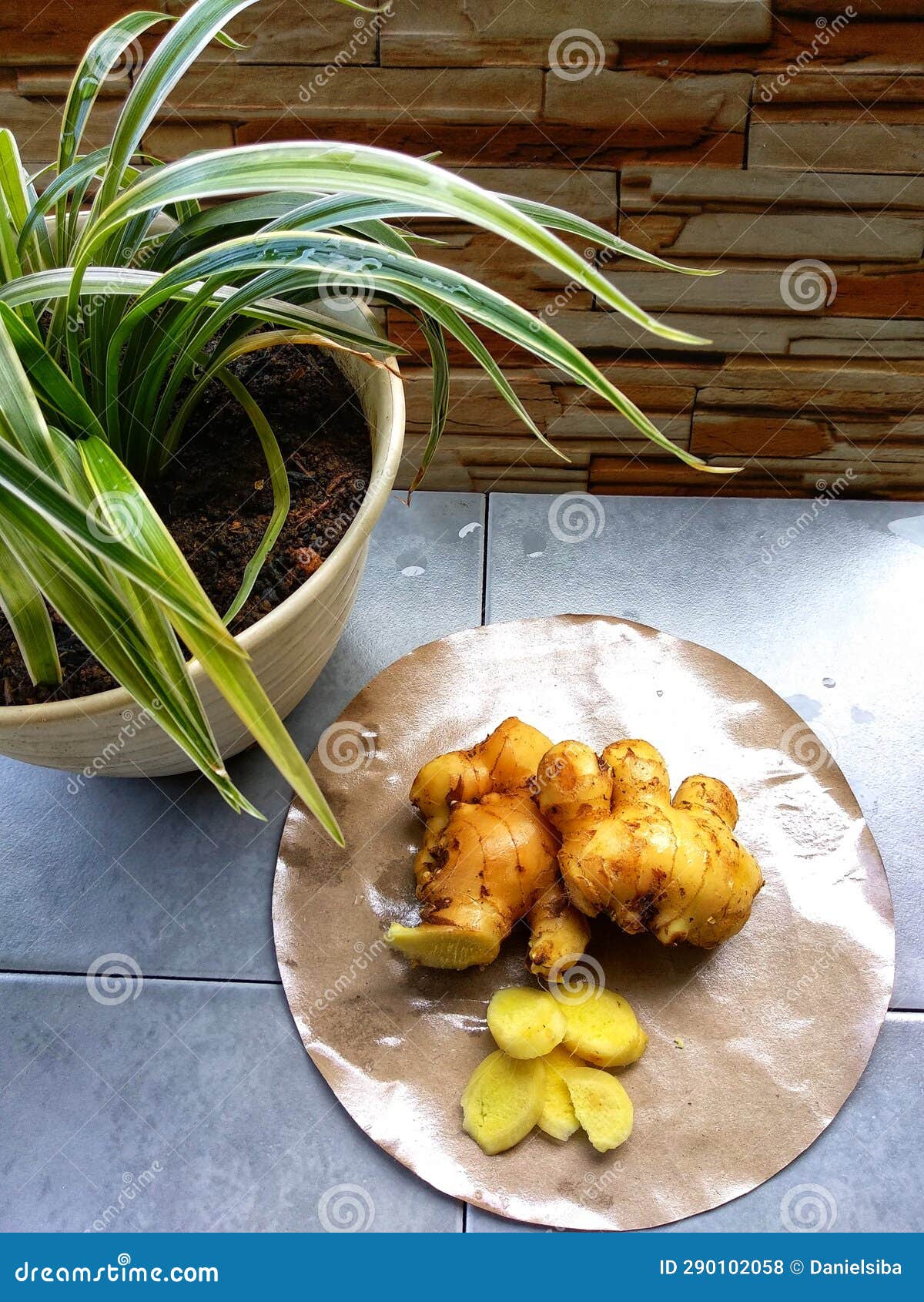 Ginger for Medical Herb and Food Ingredient Stock Photo - Image of ...