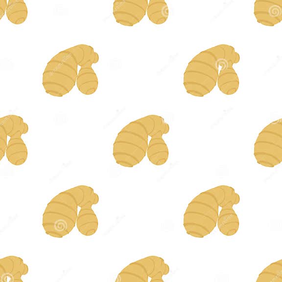 Ginger Pattern Seamless Vector Stock Vector - Illustration of food ...