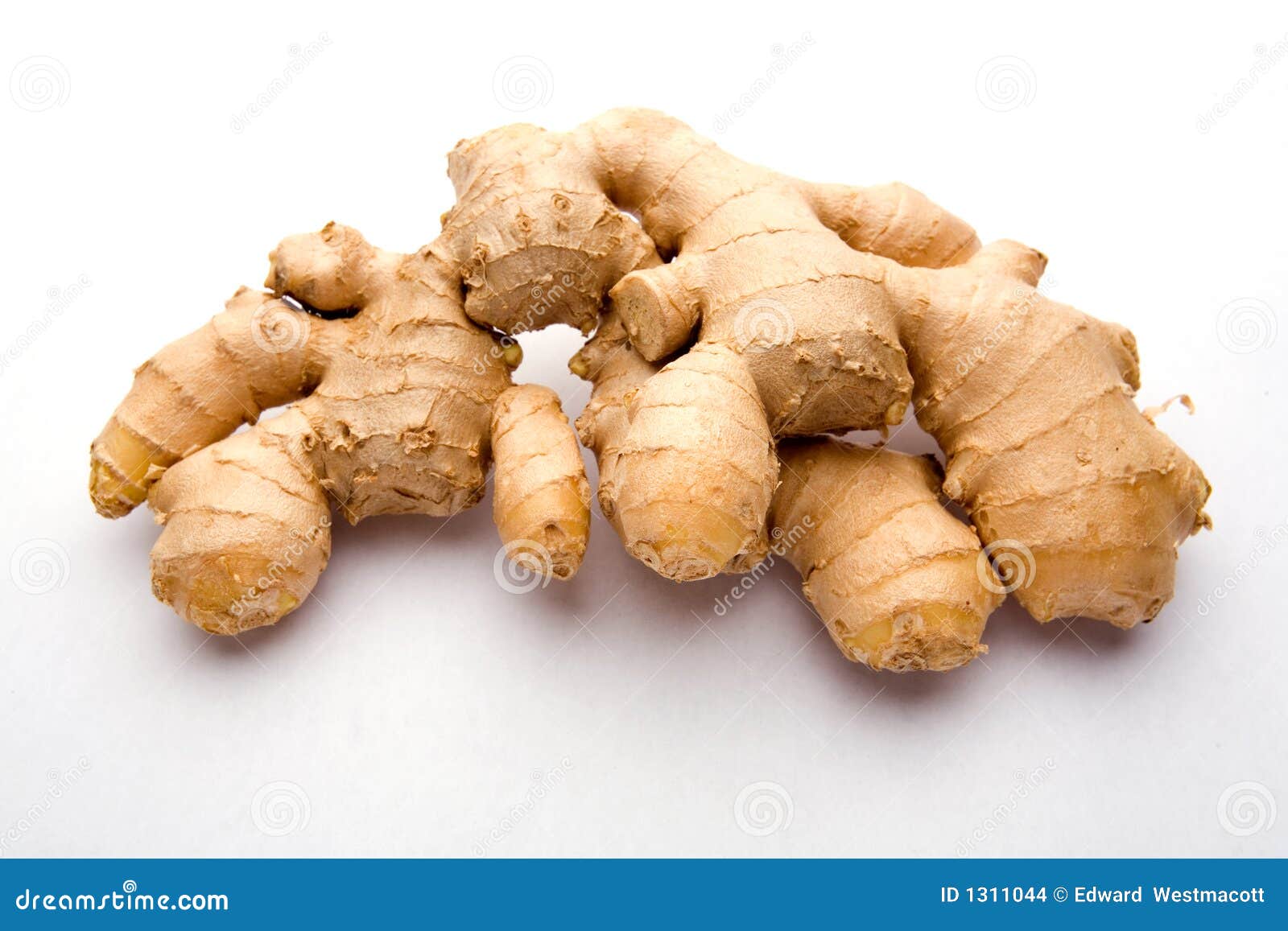 Ginger root stock photo. Image of food, fresh, flavor - 1311044