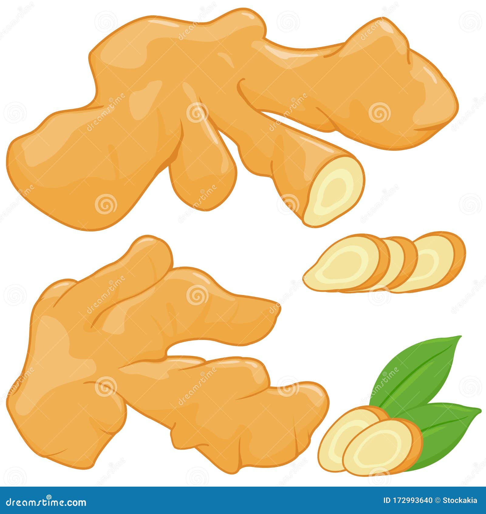 Fresh Ginger Roots. Set of Sliced Ginger Root on White Background ...