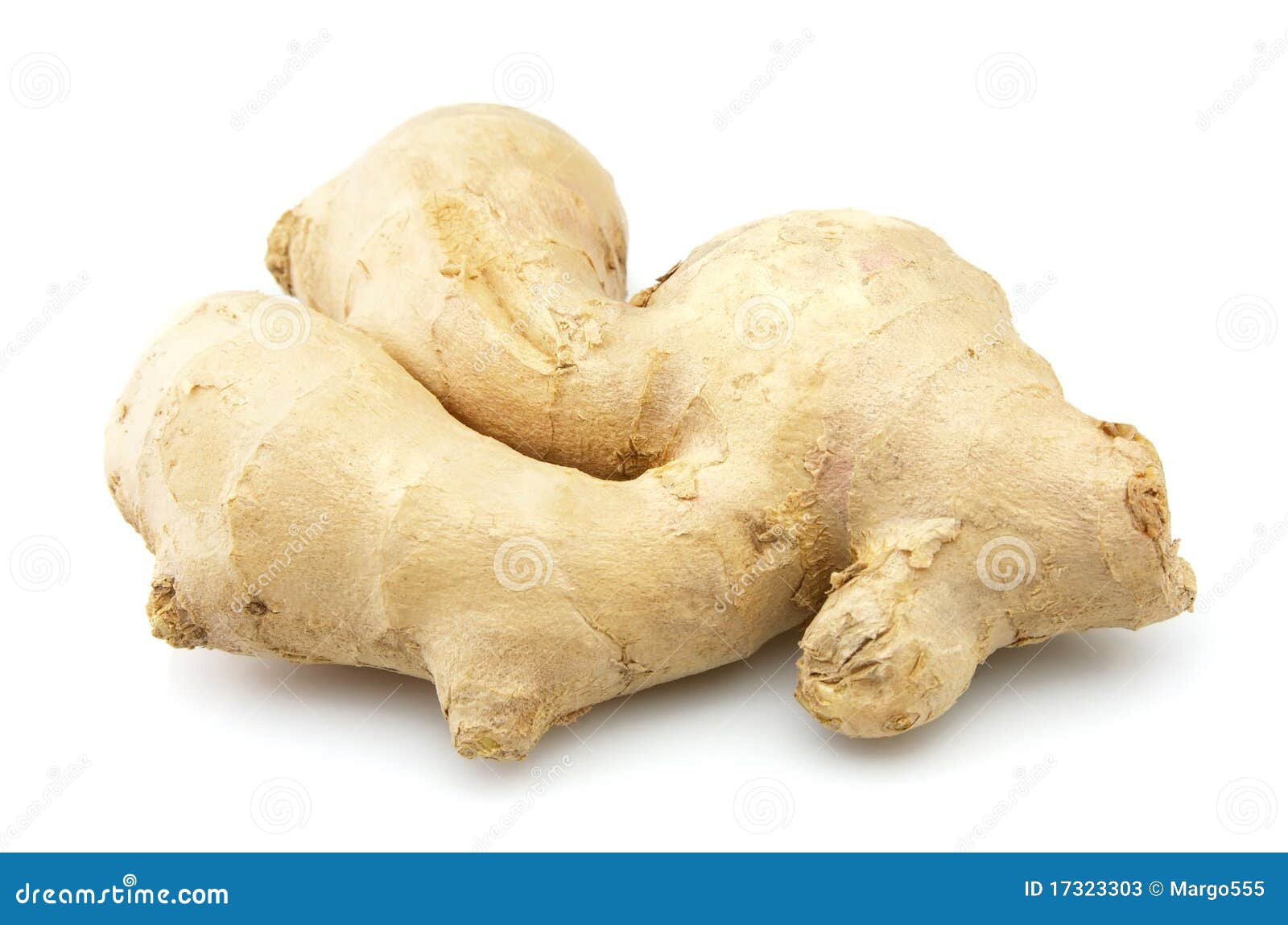 Ginger root stock image. Image of medicine, uneven, rough - 17323303