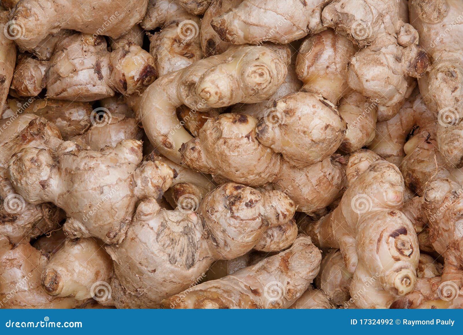 Ginger Root stock photo. Image of bunch, nature, freshness - 17324992