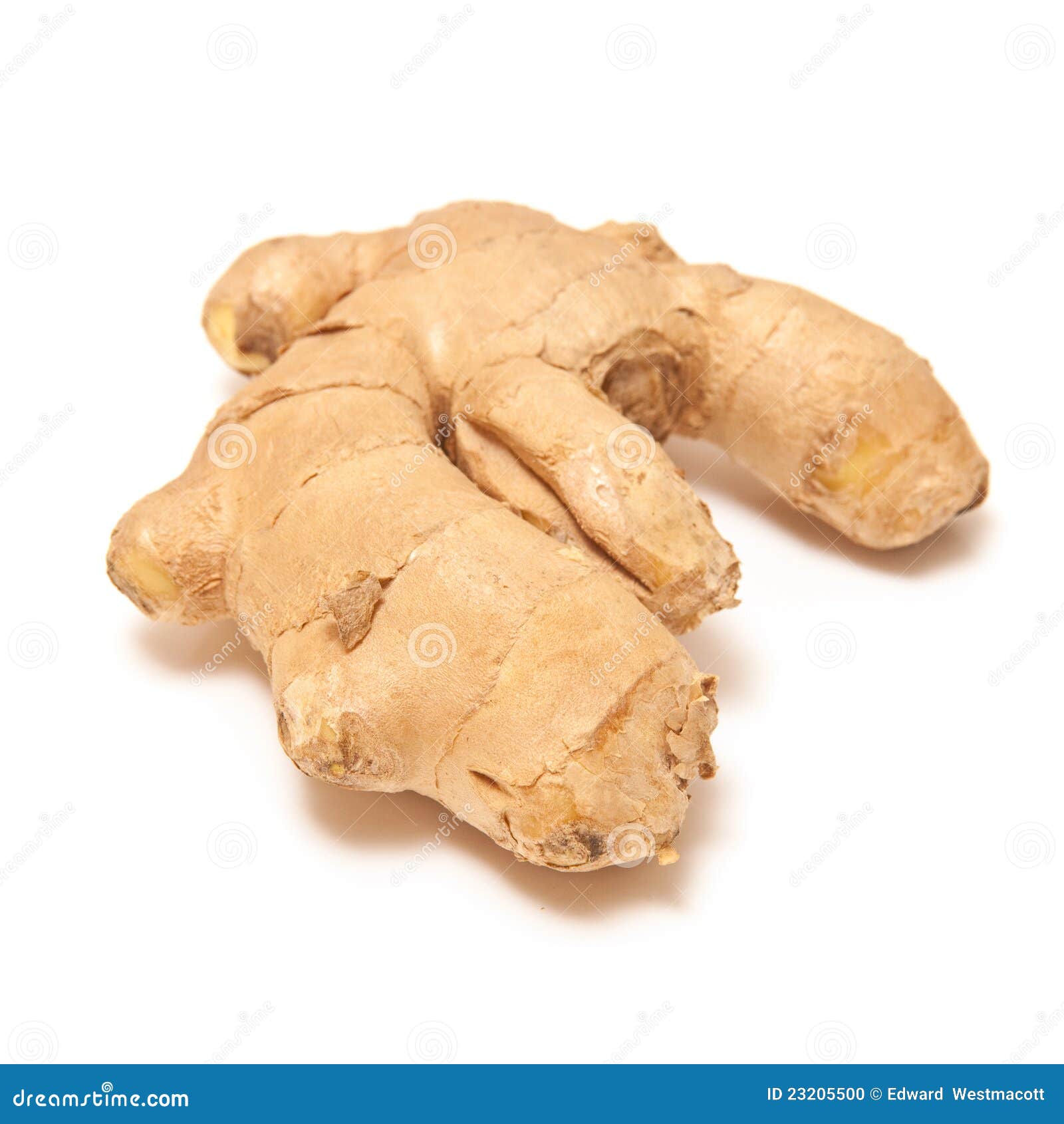 Ginger Root stock photo. Image of zingiber, fresh, ginger - 23205500