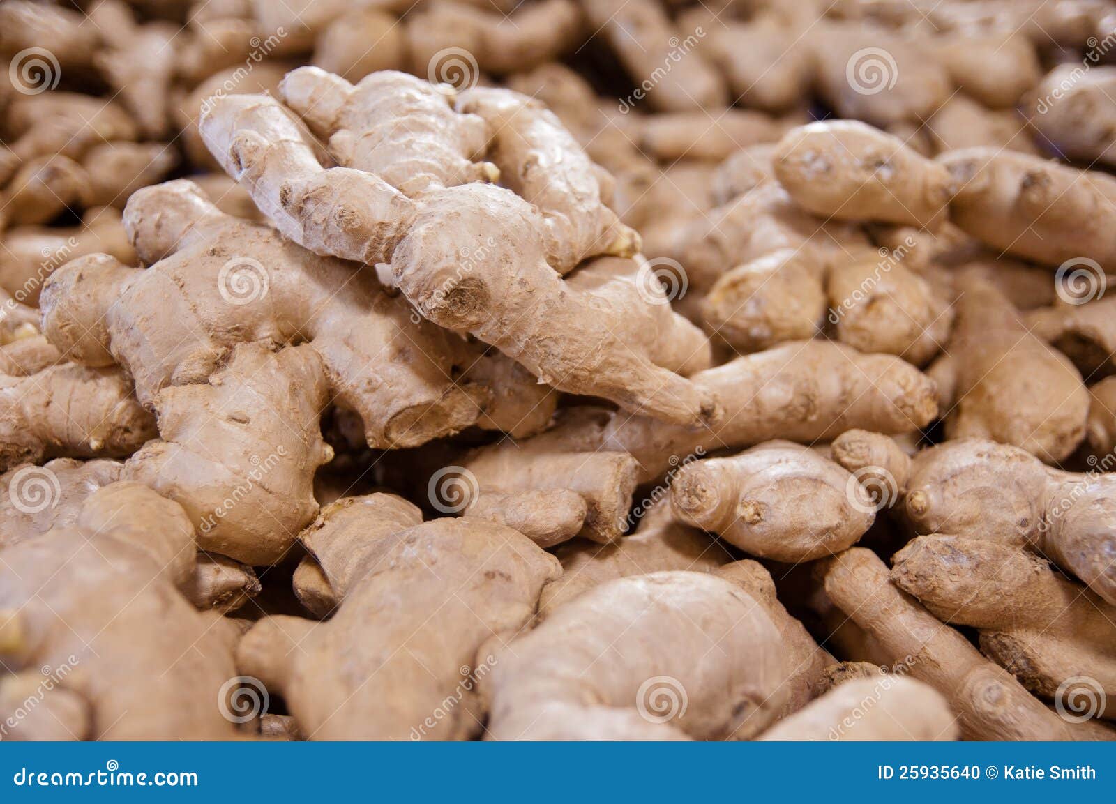 Ginger Root stock photo. Image of spices, seasoning, herbal - 25935640