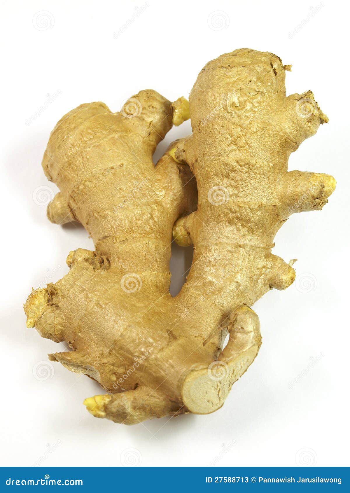 Ginger root stock image. Image of herbal, east, health - 27588713