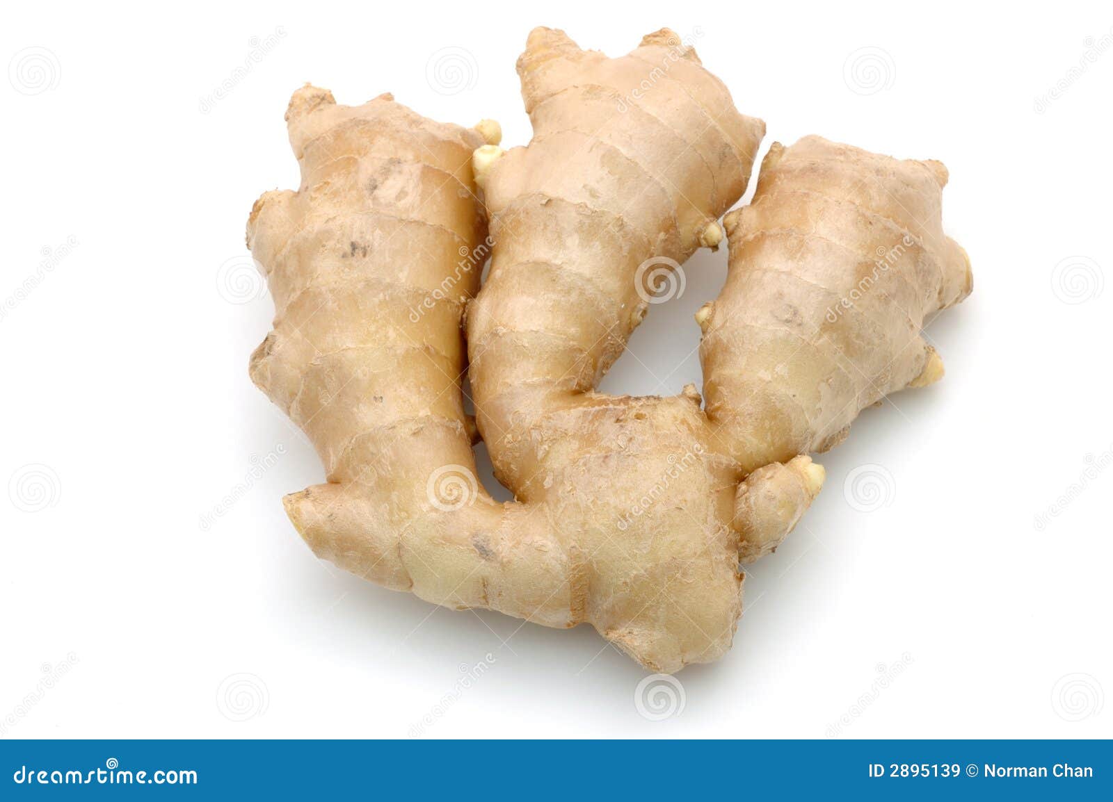 Ginger root stock image. Image of chinese, closeup, shape - 2895139
