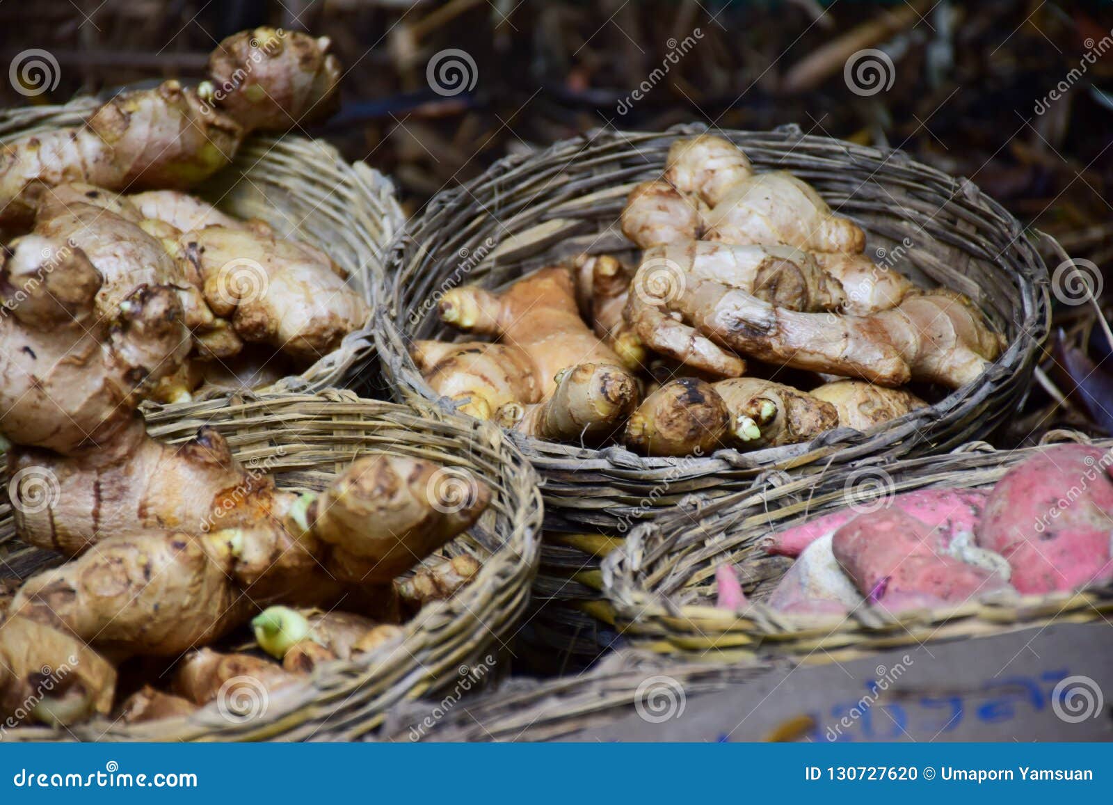 Ginger Root , Asian Food and Popular Asian Spice. Stock Photo - Image ...