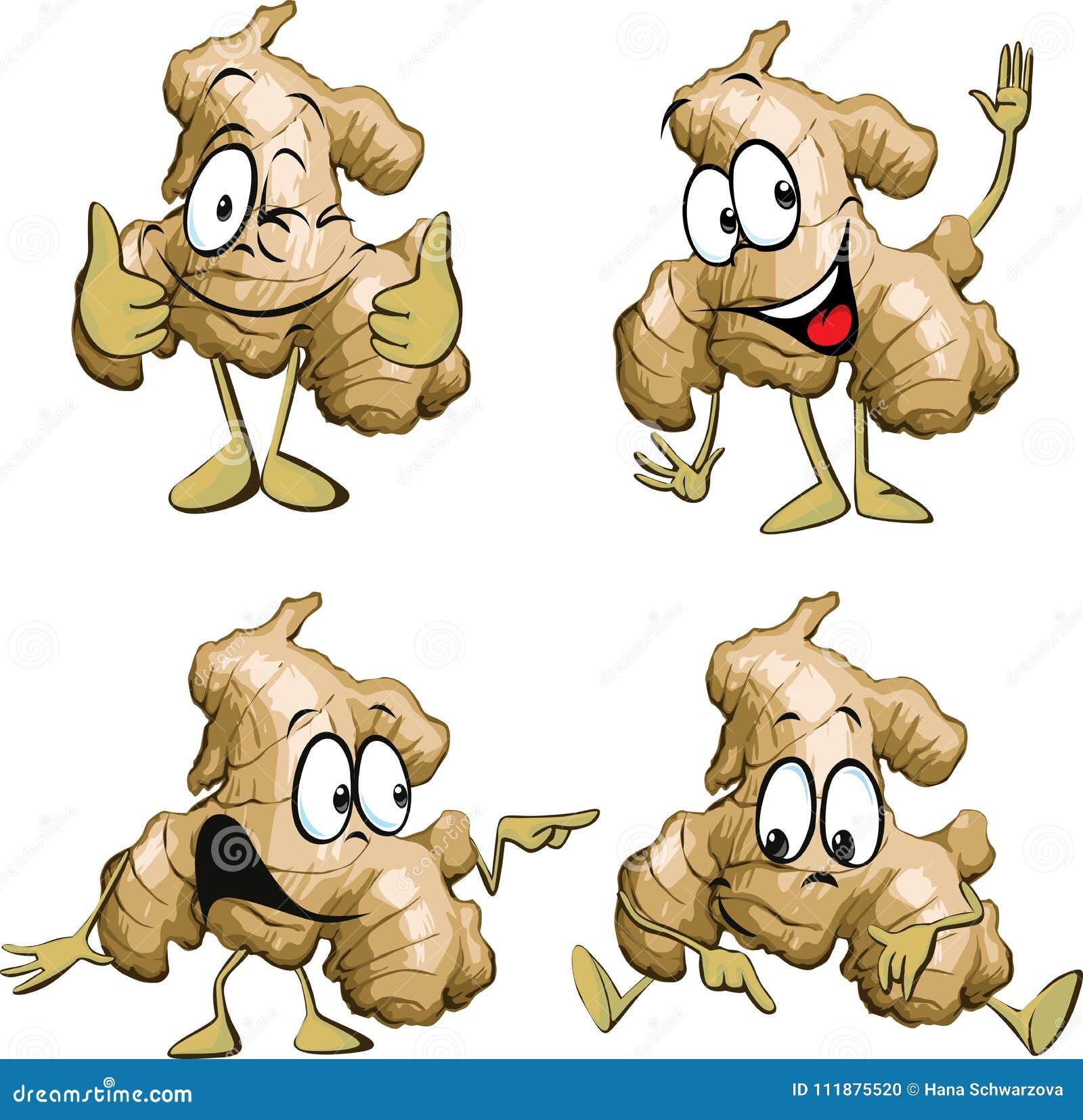 Ginger Root Cartoon with Legs and Hand Gesture - Vector Stock Vector ...