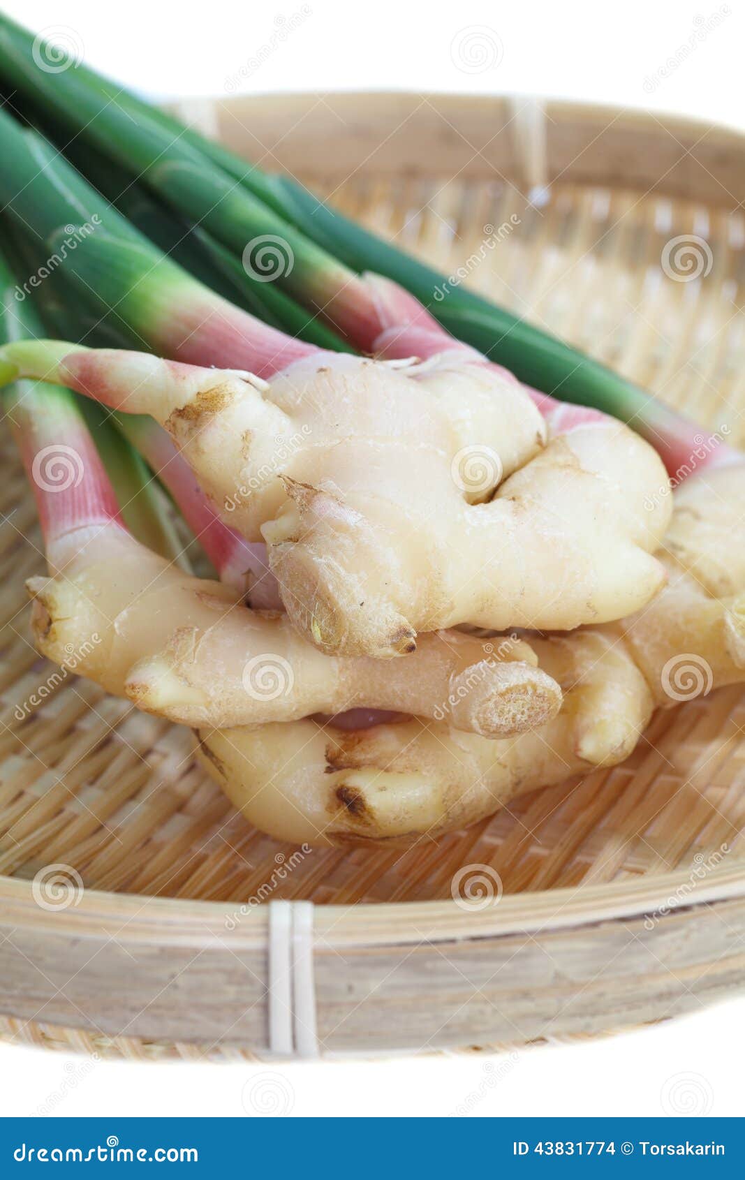 Ginger Root Vegetable at Sean Freeleagus blog