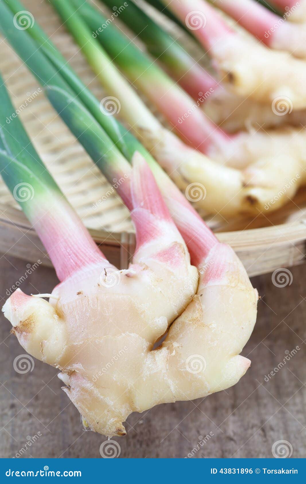 Ginger root stock photo. Image of fresh, aromatic, herb - 43831896