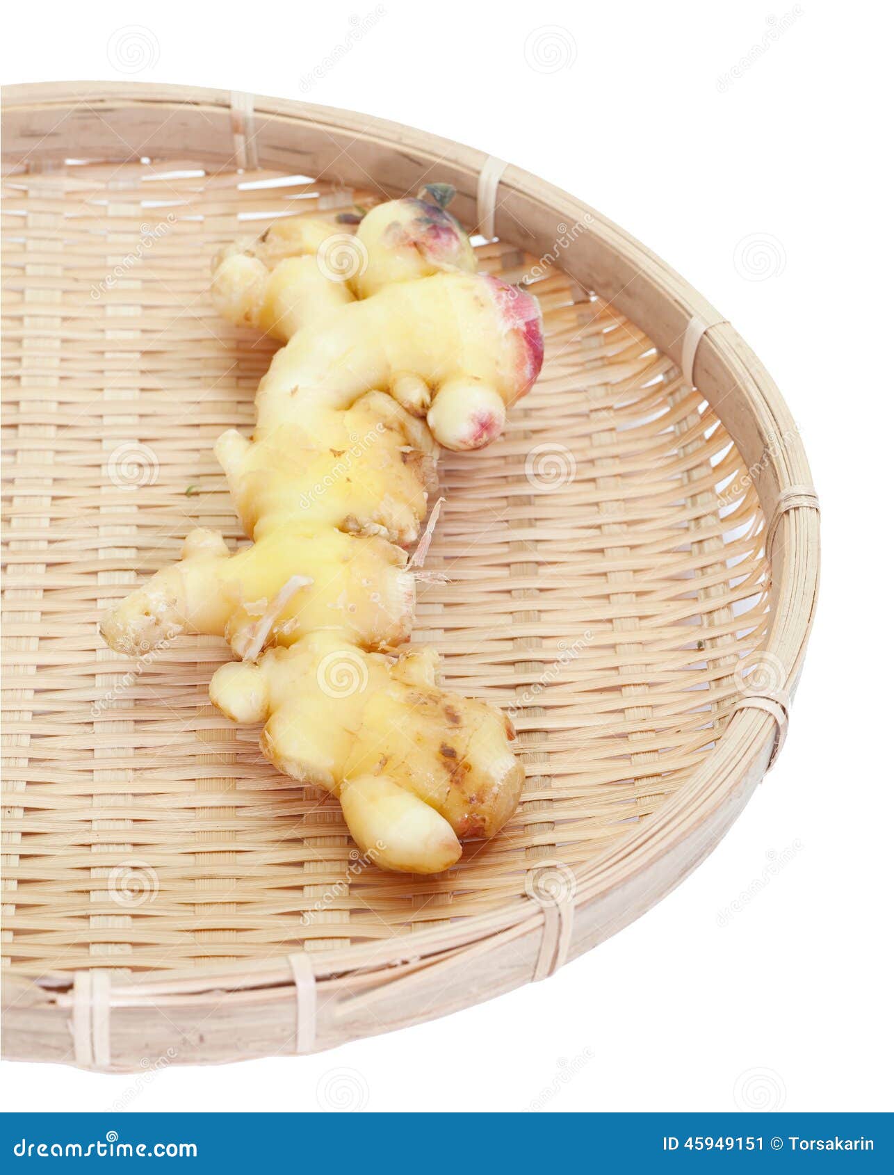 Ginger root stock image. Image of herb, root, green, grass - 45949151