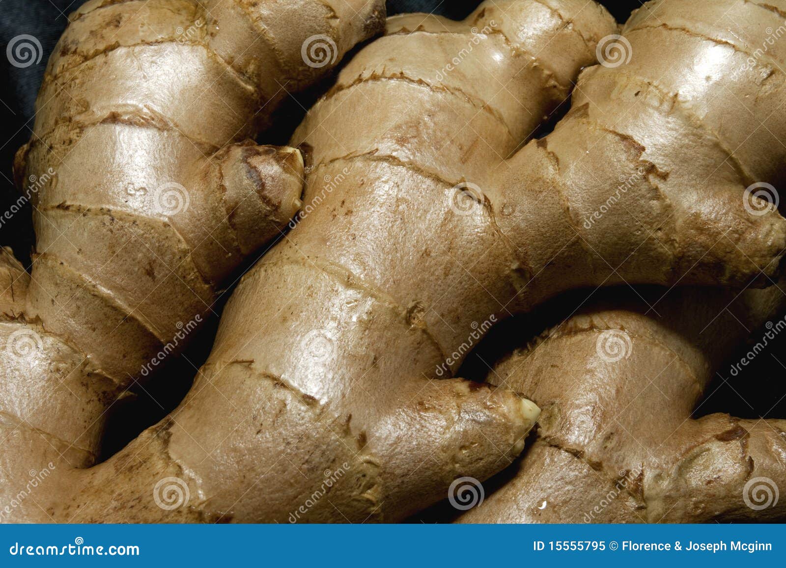 Ginger Root Closeup stock image. Image of herb, photograph - 15555795