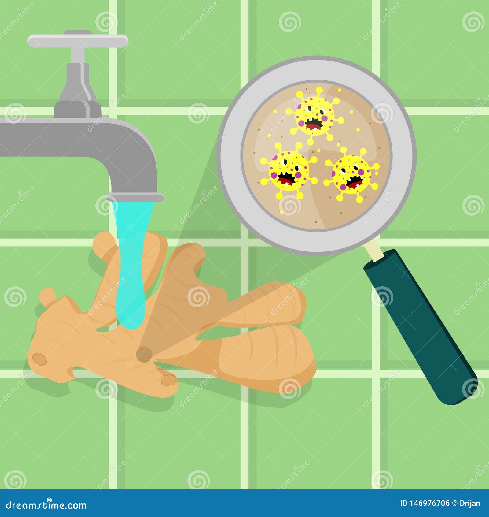 Ginger Root Contaminated with Microbes Stock Vector - Illustration of ...