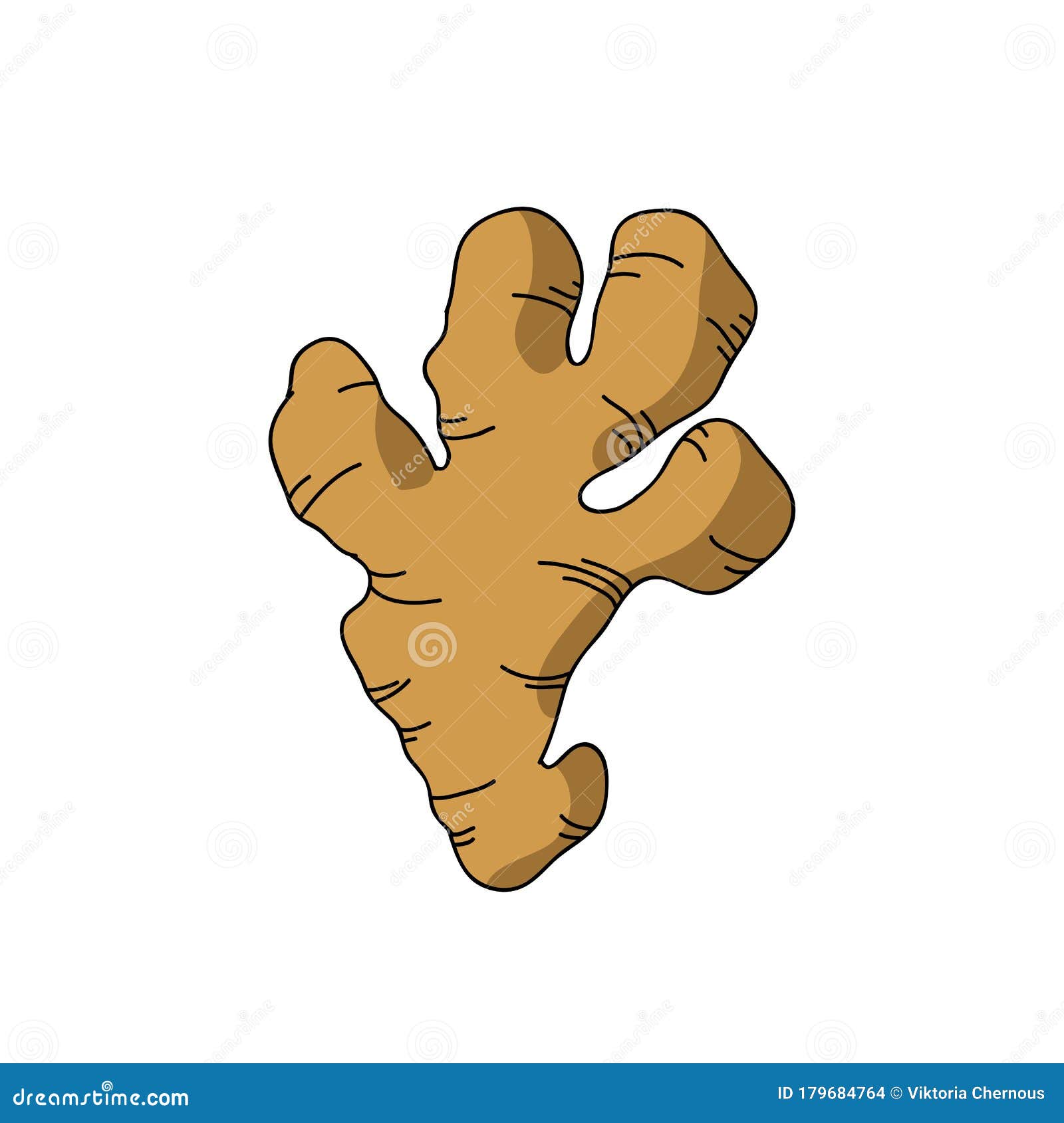Ginger root doodle icon stock illustration. Illustration of herb ...
