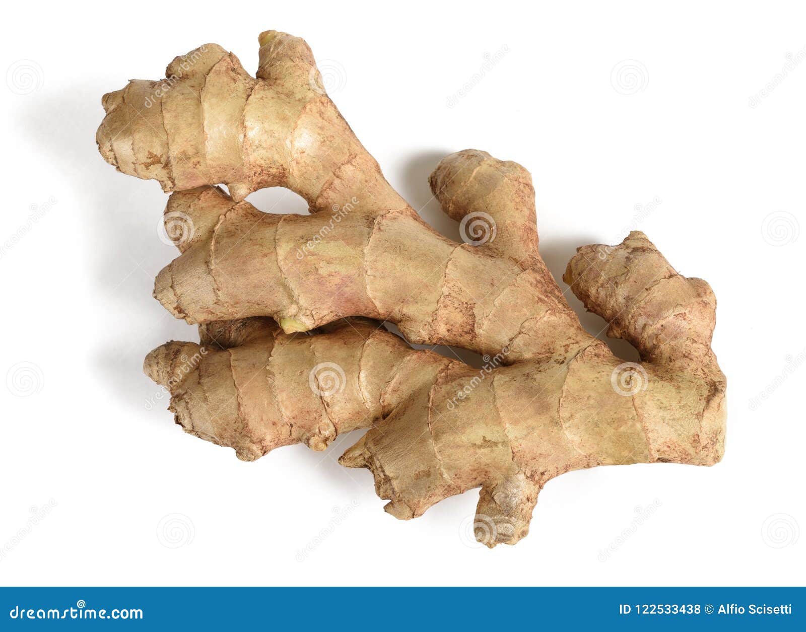 Ginger root stock photo. Image of asian, officinale - 122533438