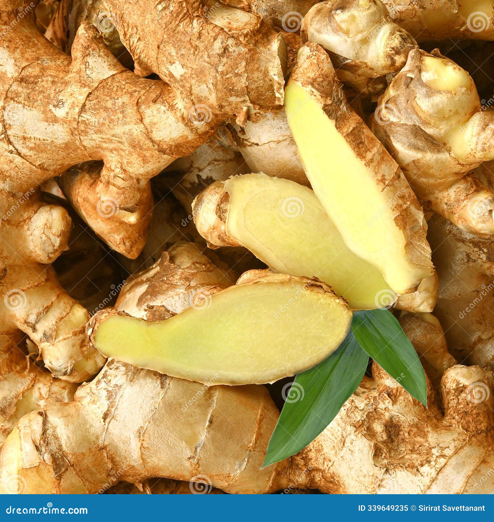 Ginger Root and Ginger Slice. Fresh Ginger Root and Ground Ginger Spice ...