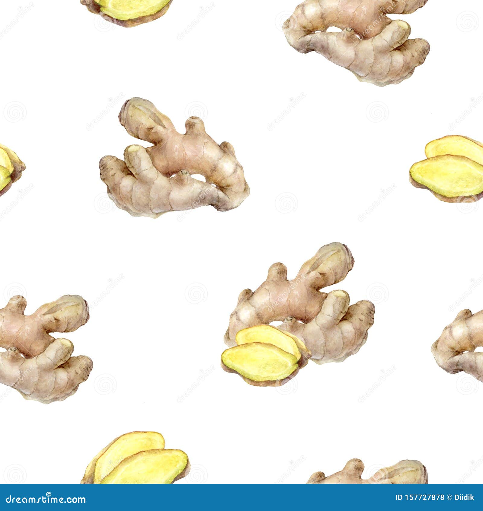 Ginger Root Hand Drawn Watercolor Illustration. Seamless Pattern. Stock ... Ginger Root Hand Drawn Watercolor Illustration. Seamless Pattern. Stock ...
