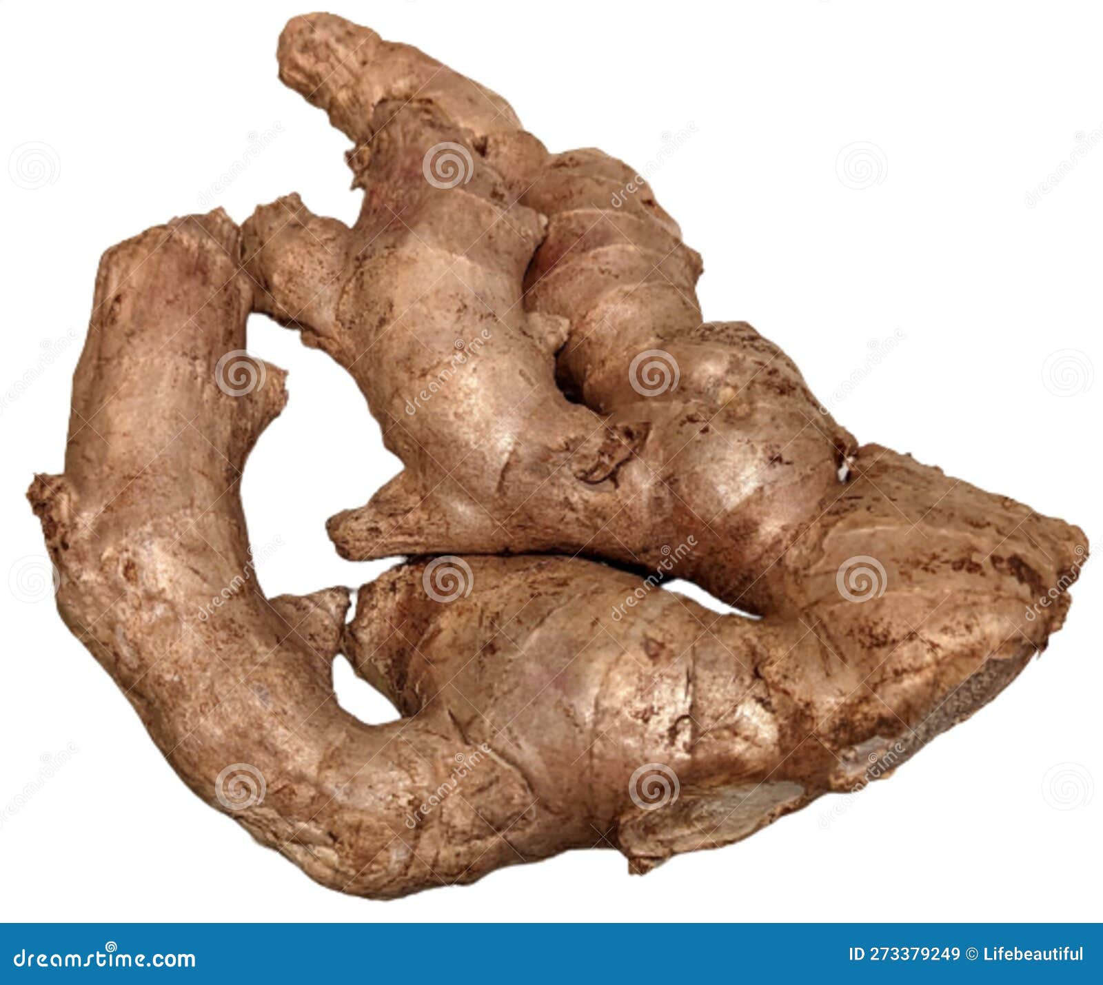 Ginger root stock image. Image of snack, dessert, vegetable - 273379249 Ginger root stock image. Image of snack, dessert, vegetable - 273379249