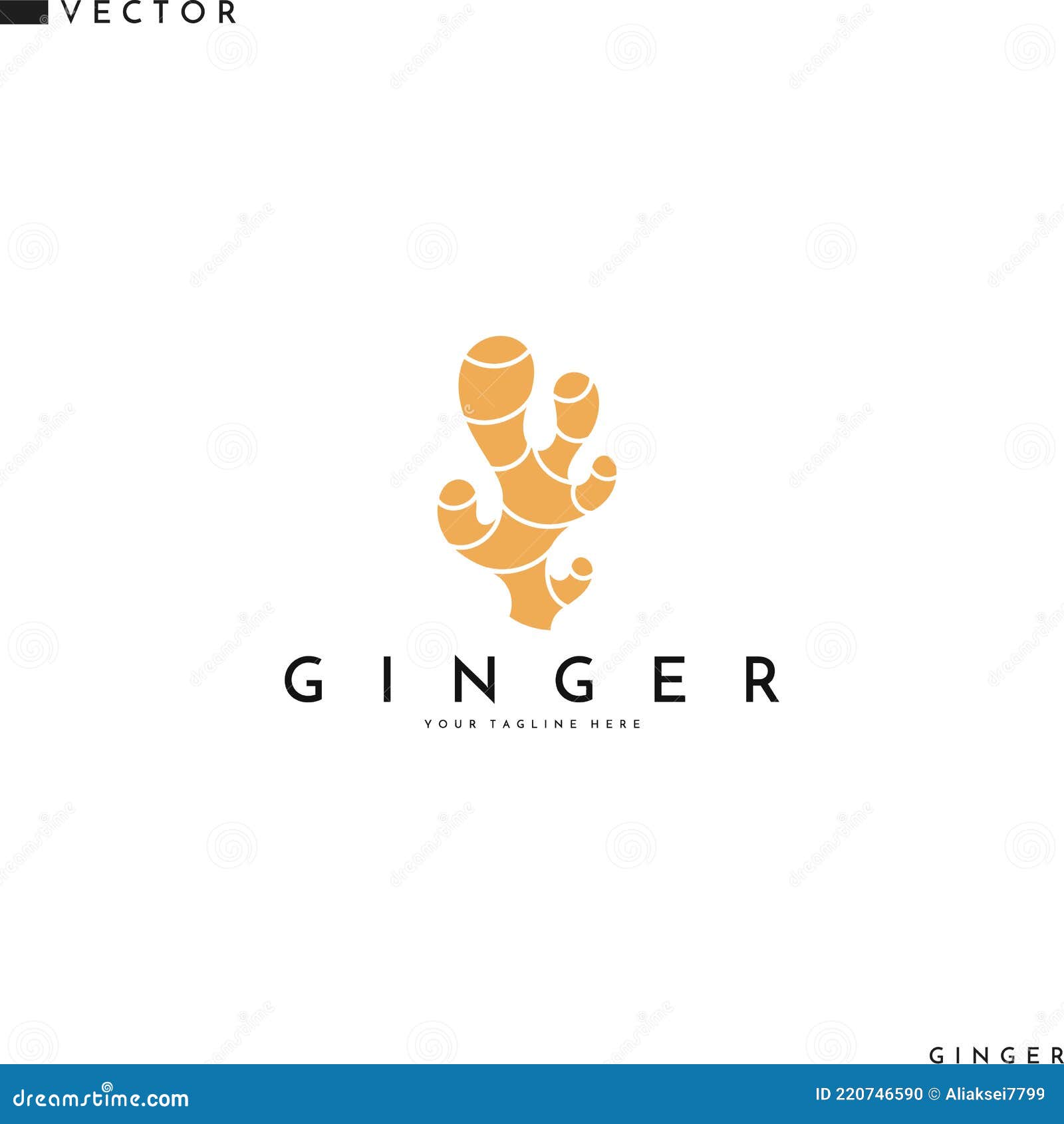 Ginger root logo stock vector. Illustration of herbal - 220746590