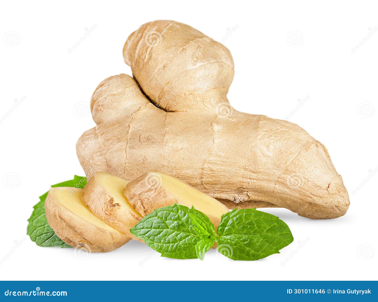 Ginger Root and Mint Leaves Stock Photo - Image of front, single: 301011646