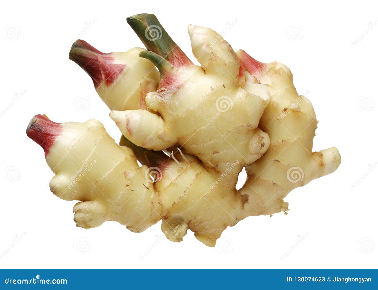 Ginger Root with New Sprouts Stock Image - Image of eating, health ...