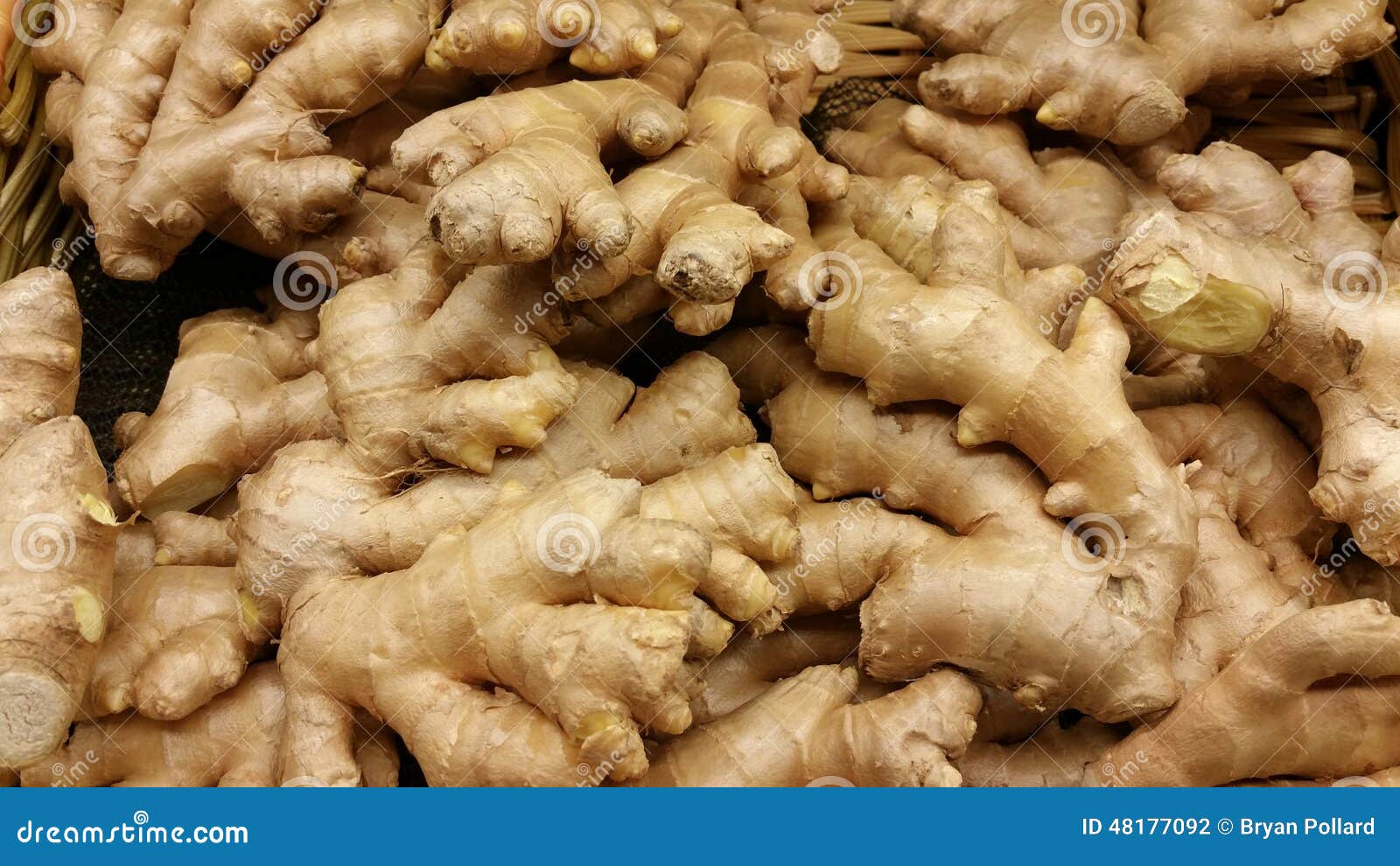 Ginger Root stock photo. Image of root, food, fresh, horizontal - 48177092