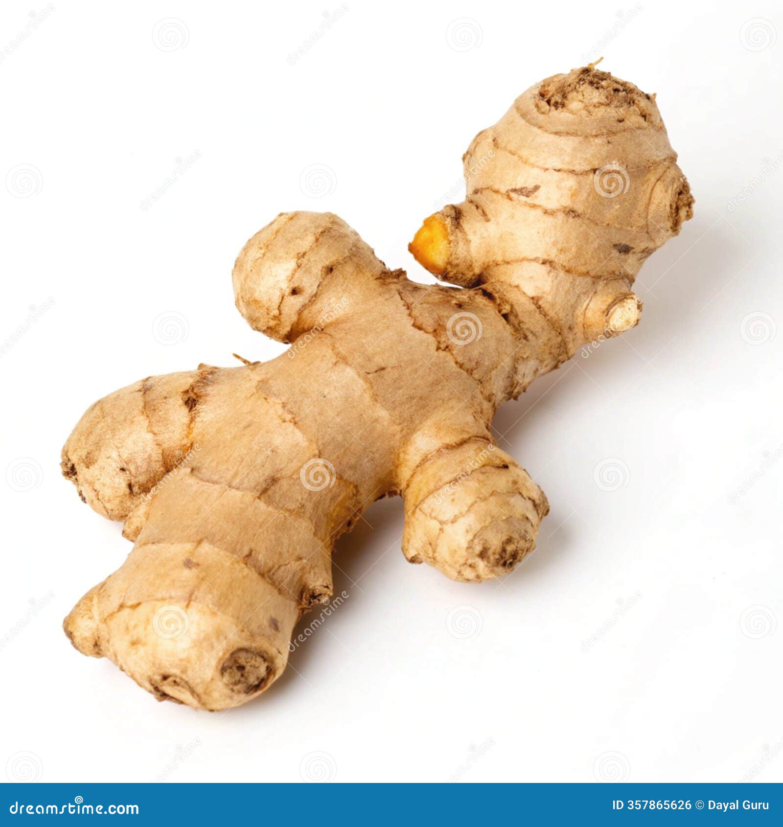 Ginger Root Resembling A Small Figure On Transparent Background Stock ...
