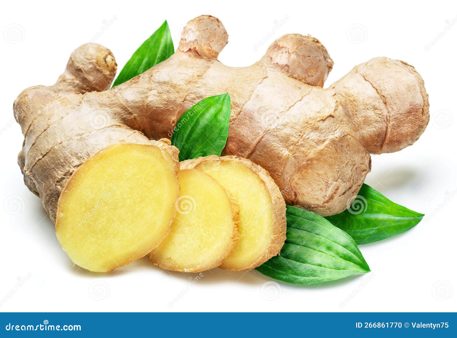 Ginger Root and Round Slices of Ginger Root on Green Leaves Isolated on ...