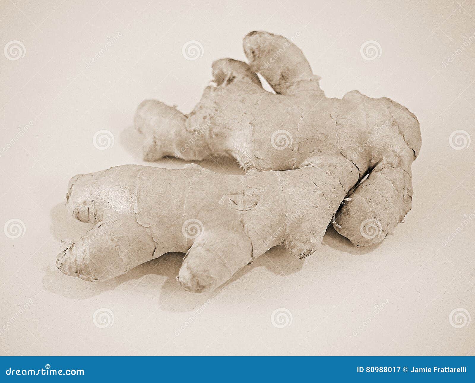 Ginger Root in Sepia Tones stock image. Image of sepia - 80988017