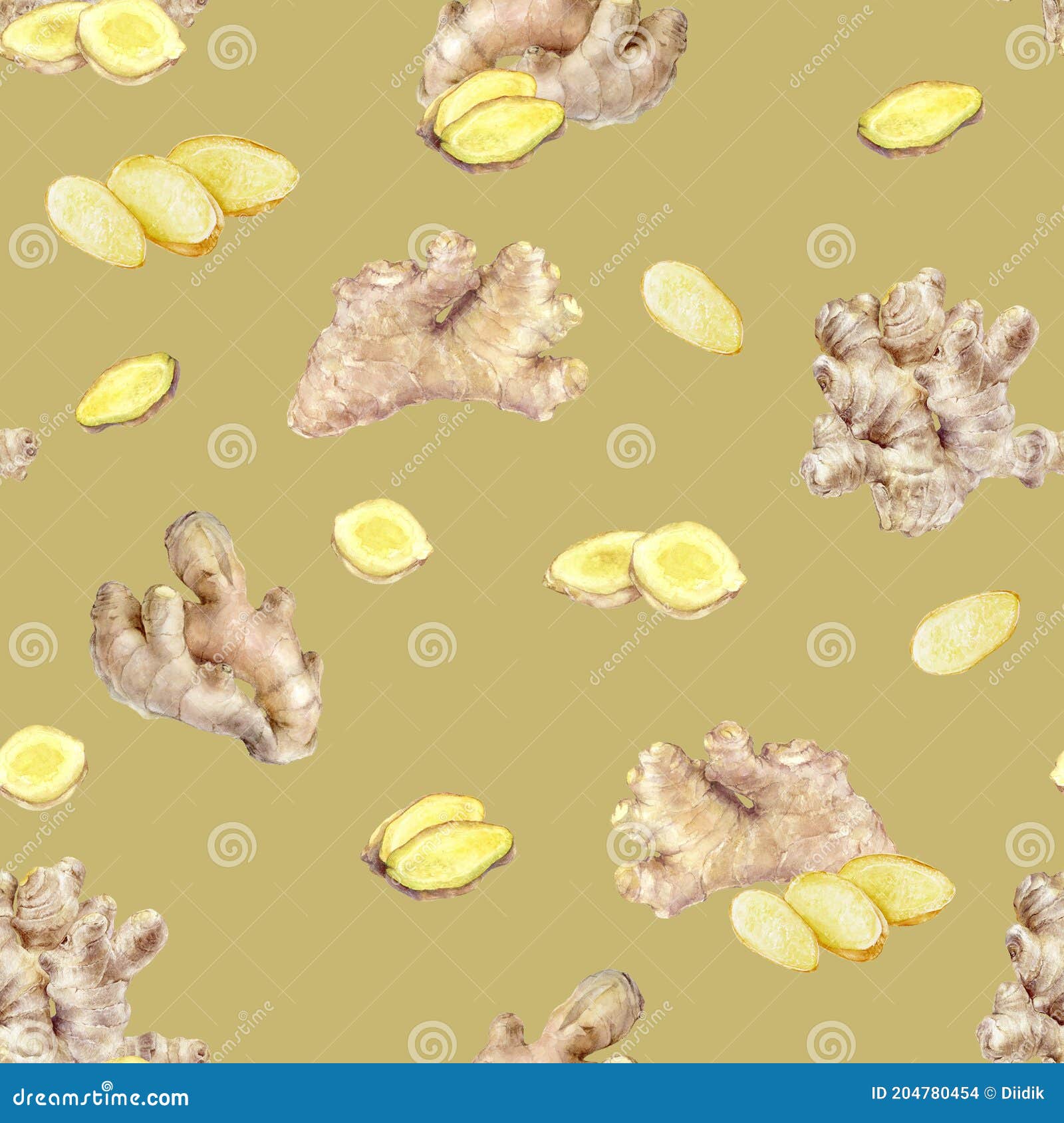 Ginger Root Set Watercolor Illustration Isolated on White Background ...