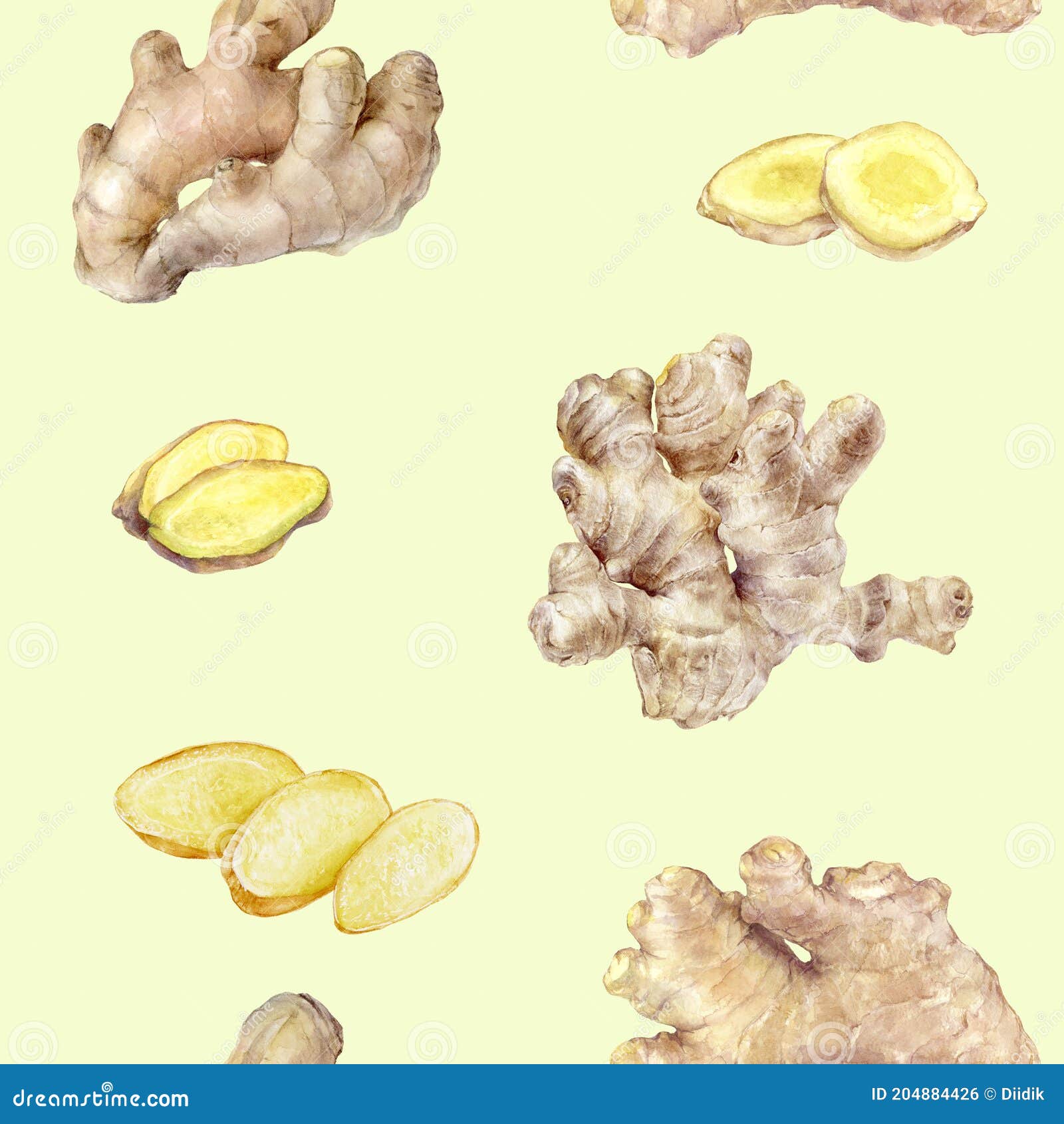 Ginger Root Set Watercolor Illustration Isolated on White Background ...