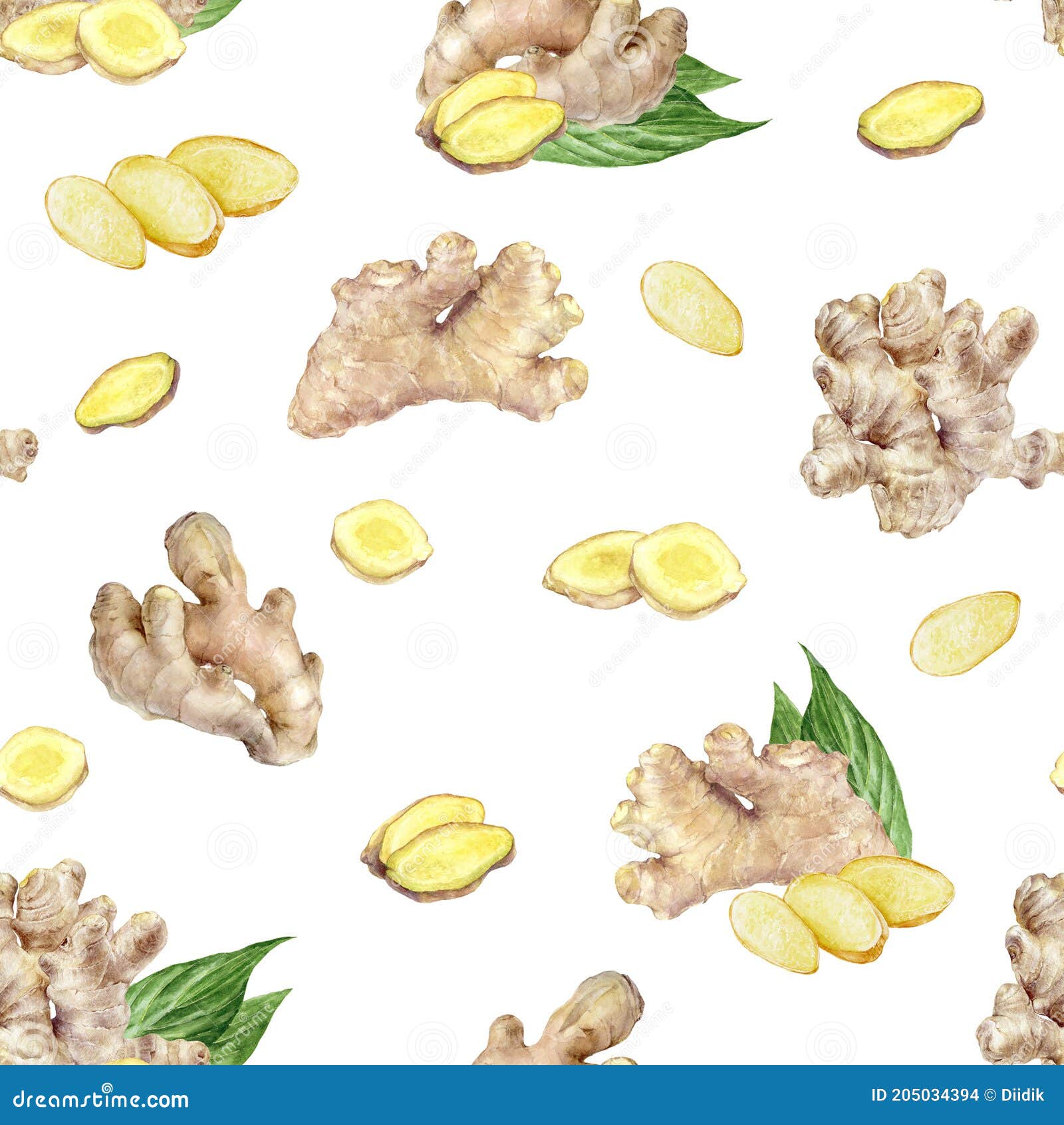 Ginger Root Set Watercolor Illustration Isolated on White Background ...