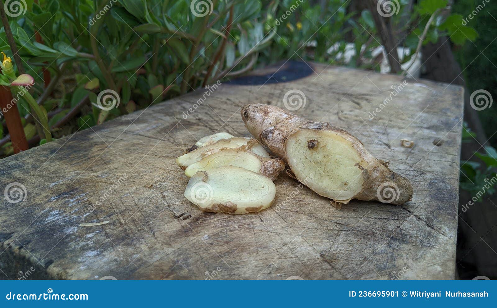 Ginger Root with Sliced Portions Stock Image - Image of eating, slice ...