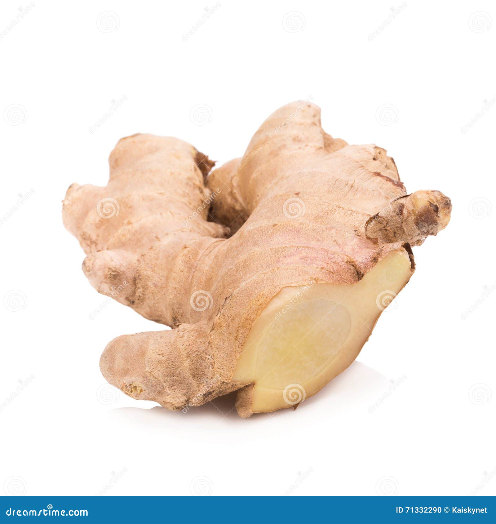 Ginger Isolated On White Background Royalty-Free Stock Image ...