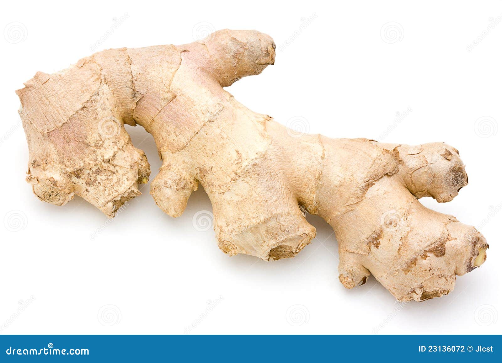 Ginger Root Spice stock photo. Image of food, asia, texture - 23136072 Ginger Root Spice stock photo. Image of food, asia, texture - 23136072