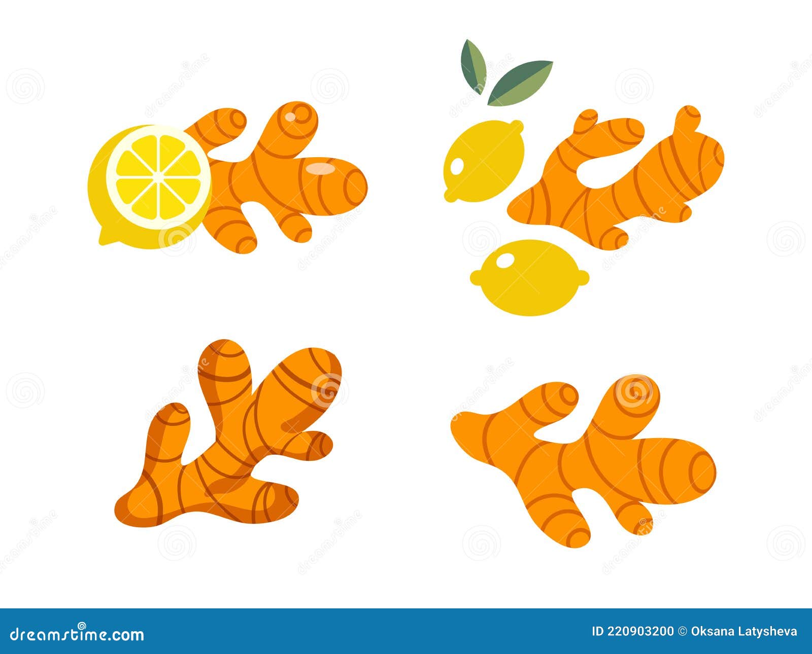 Ginger Root Flat Vector Set Illustration Stock Vector - Illustration of ...