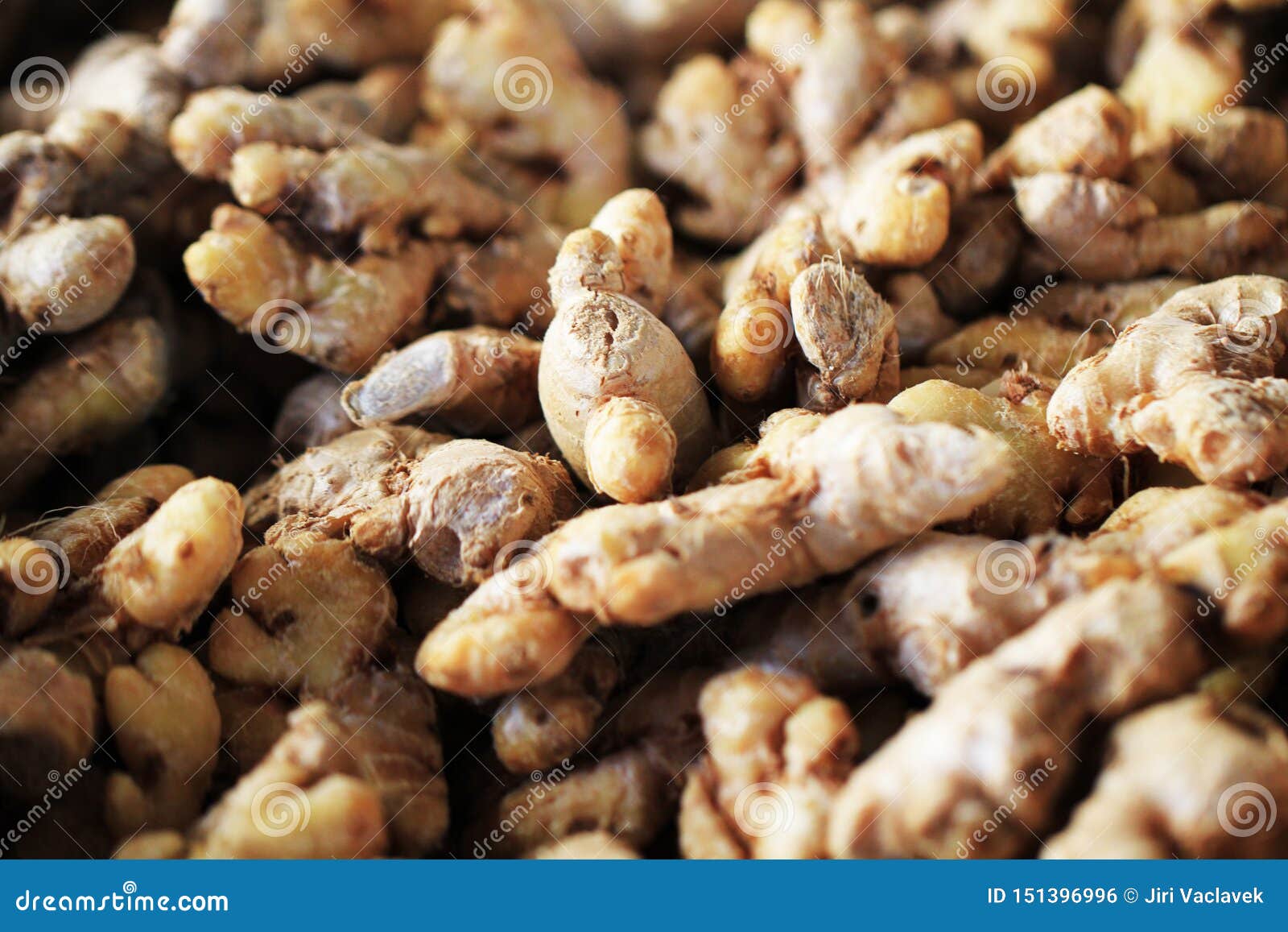 Ginger root texture stock photo. Image of healthy, brown - 151396996