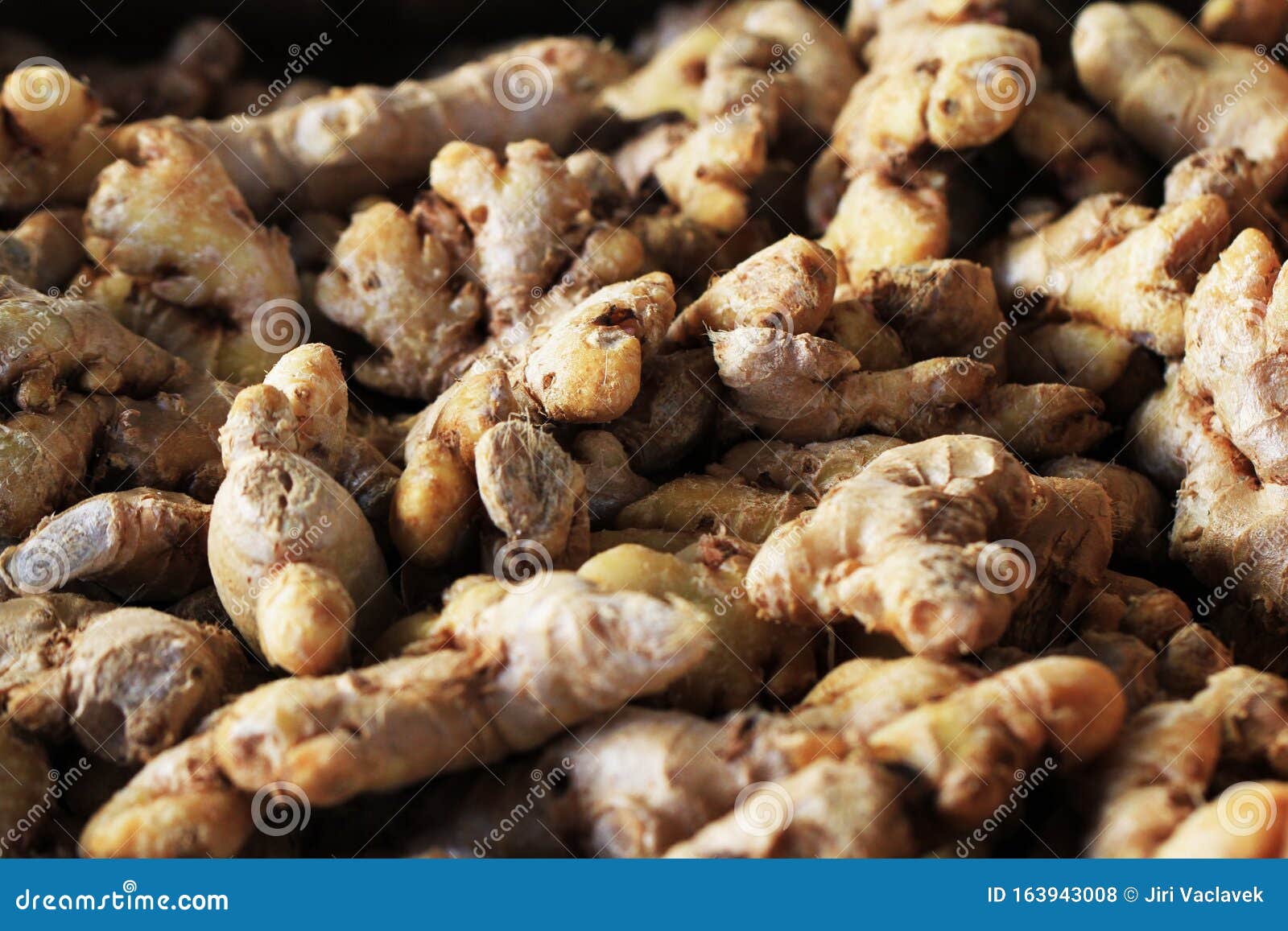 Ginger root texture stock photo. Image of fresh, healthy - 163943008