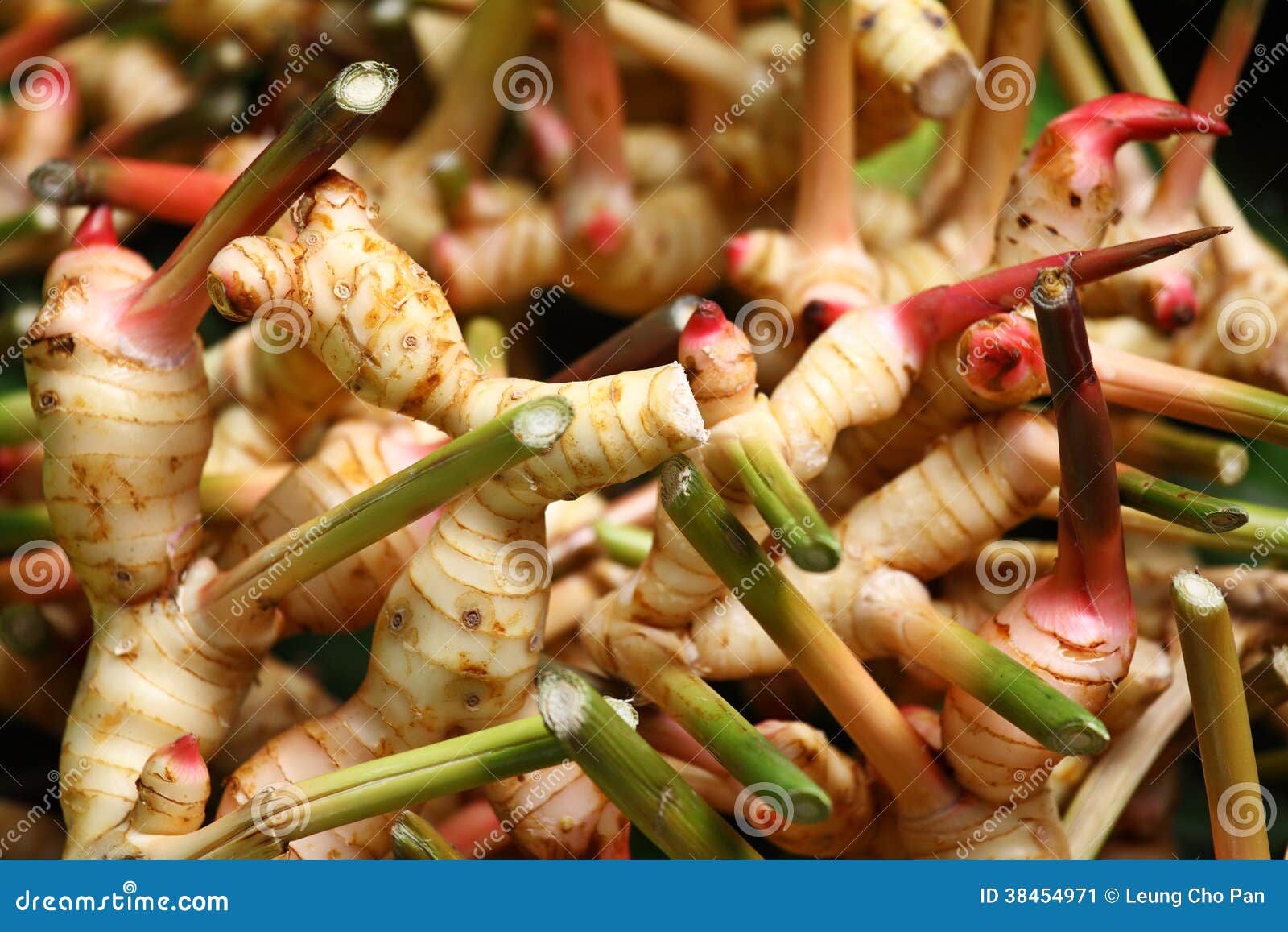 Ginger root stock image. Image of flavor, diet, medicine - 38454971