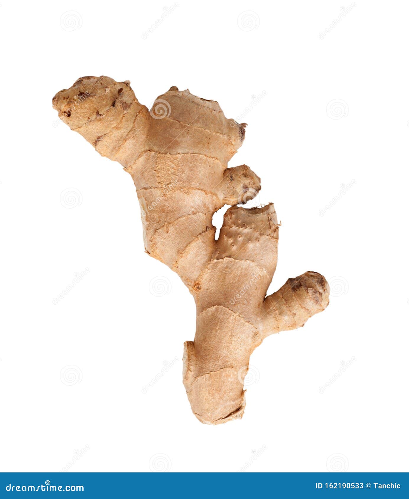 Ginger Root Top View Isolated on a White Background Stock Image - Image ...