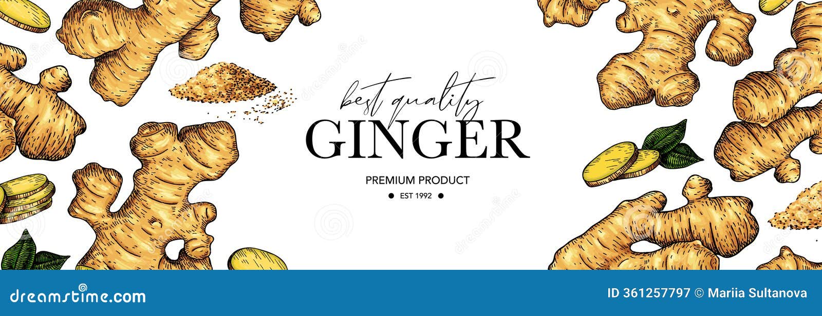 Ginger Root With Mortar And Pestle Vector Drawing. Grounded Ginger Root ...