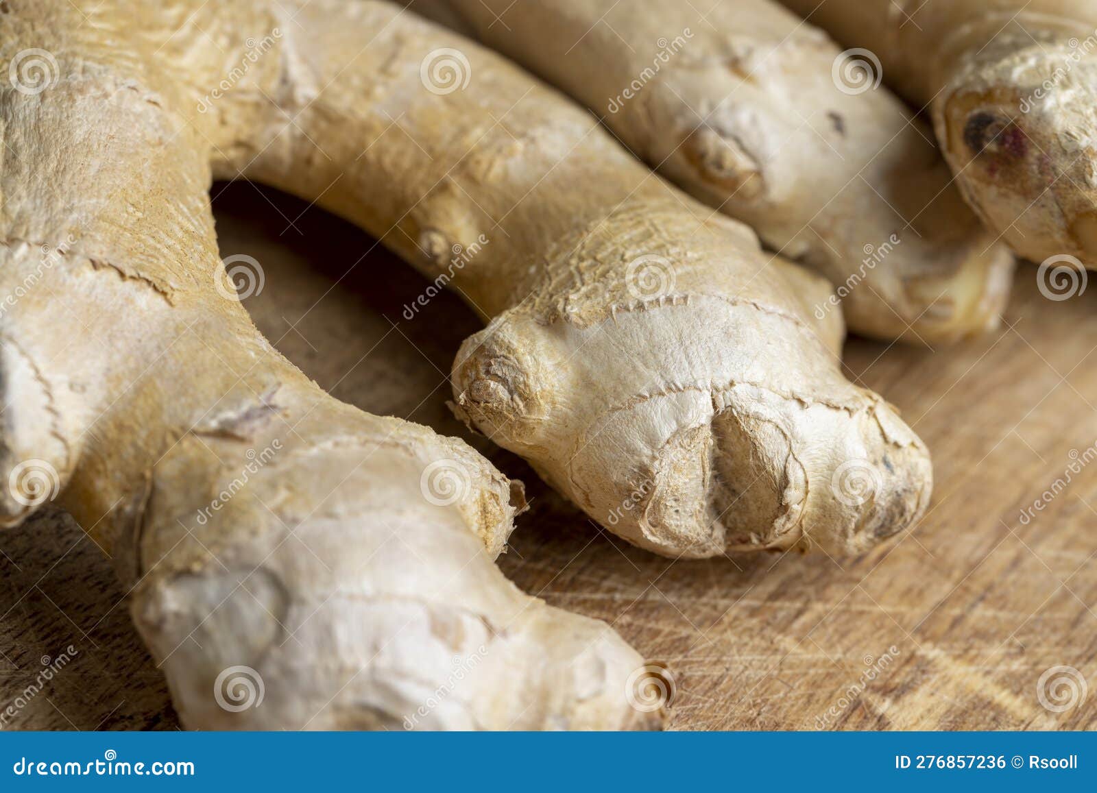 Ginger Root Which is Used for Cooking in Asia Stock Photo - Image of ...