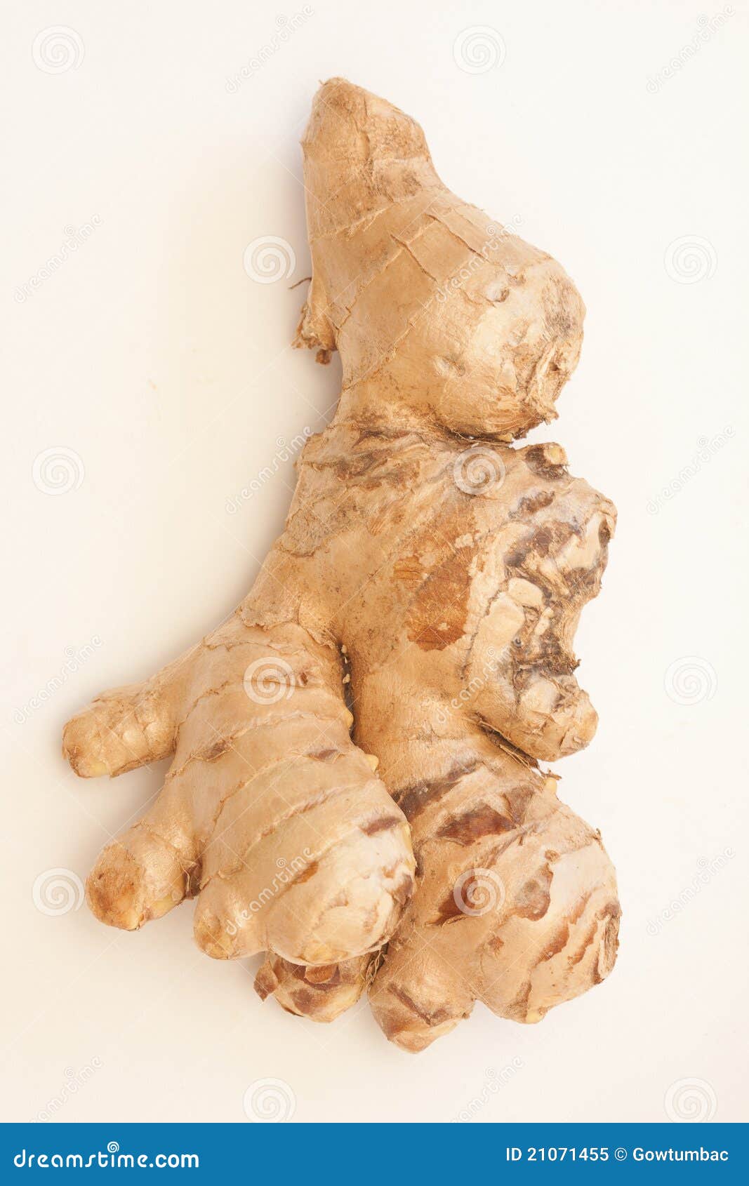 Ginger roots stock image. Image of vertical, closeup - 21071455