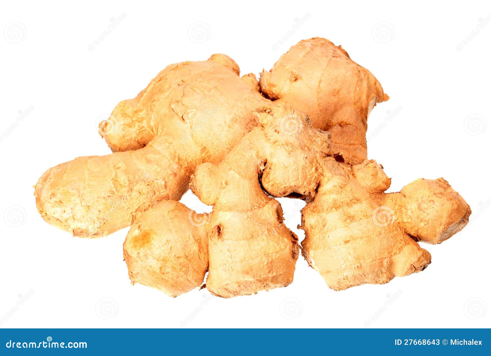 Ginger roots stock image. Image of studio, organic, rough - 27668643