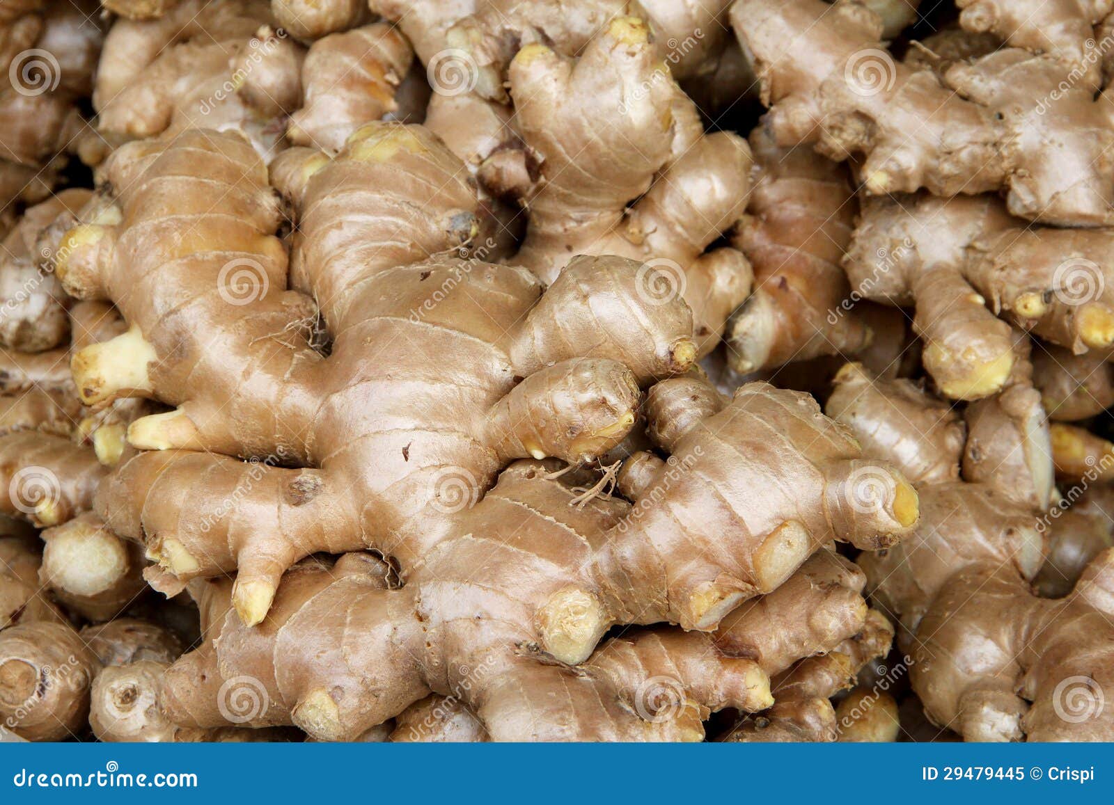 Ginger roots stock image. Image of asian, spice, herbal - 29479445